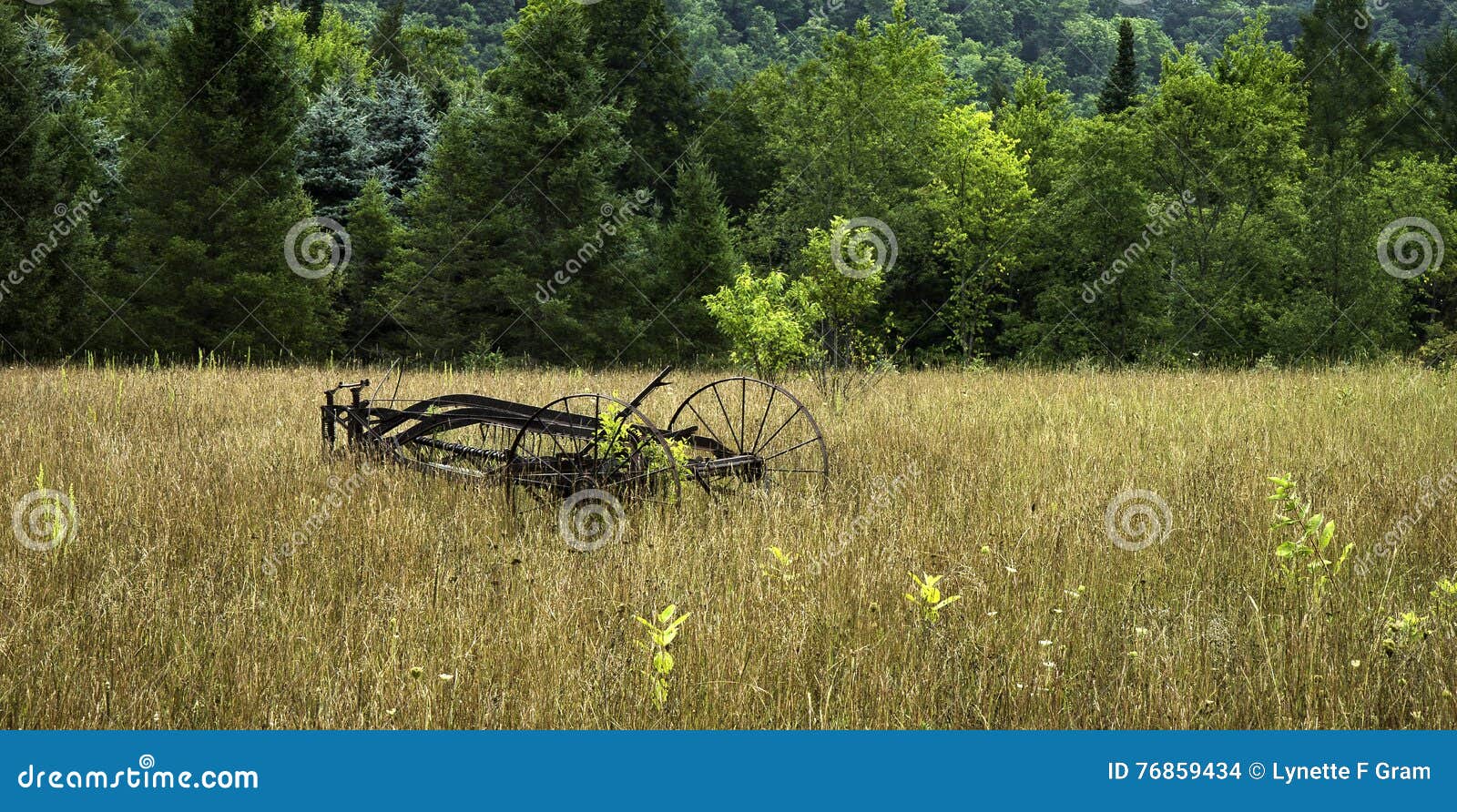 Old Antique Plow in Country Field Stock Photo - Image of obsolete ...