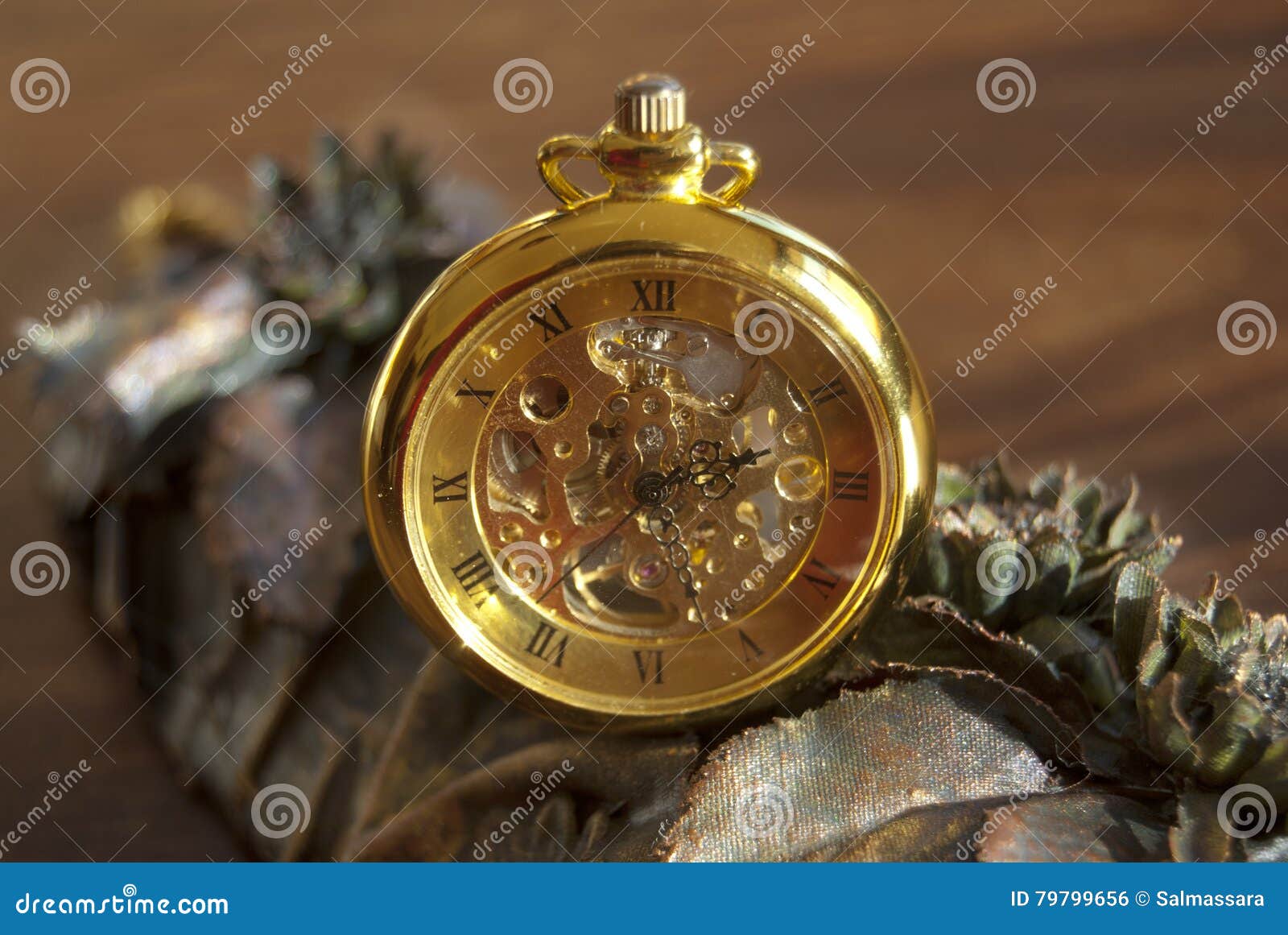 Old pocket watch stock photo. Image of analogic, pocket - 79799656
