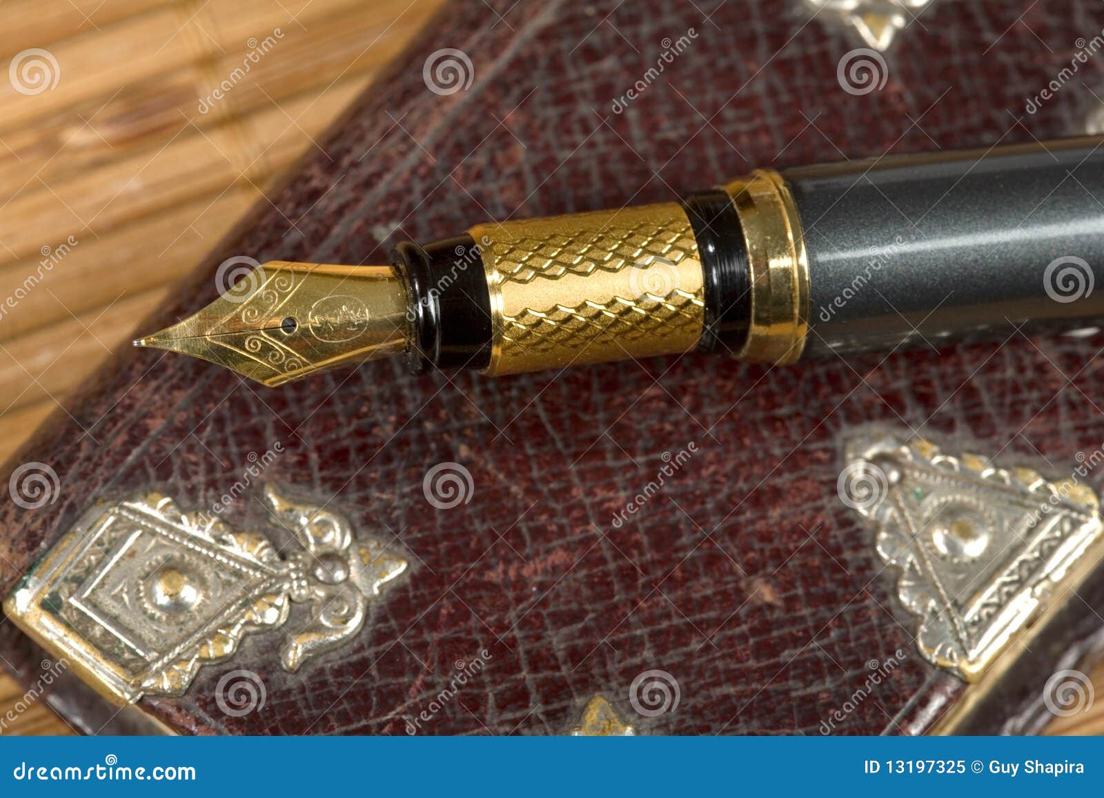 Old Poetry Book and a Fountain Pen Stock Image - Image of retro ...