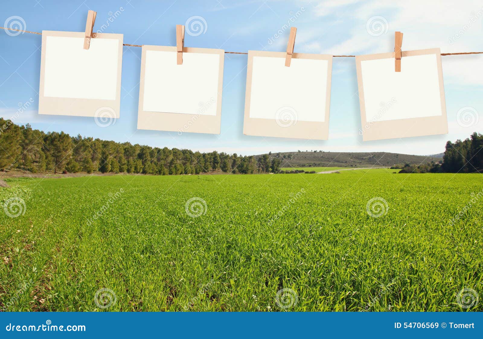 Old Polaroid Photo Frames Hanging on a Rope in Front of Open Field ...