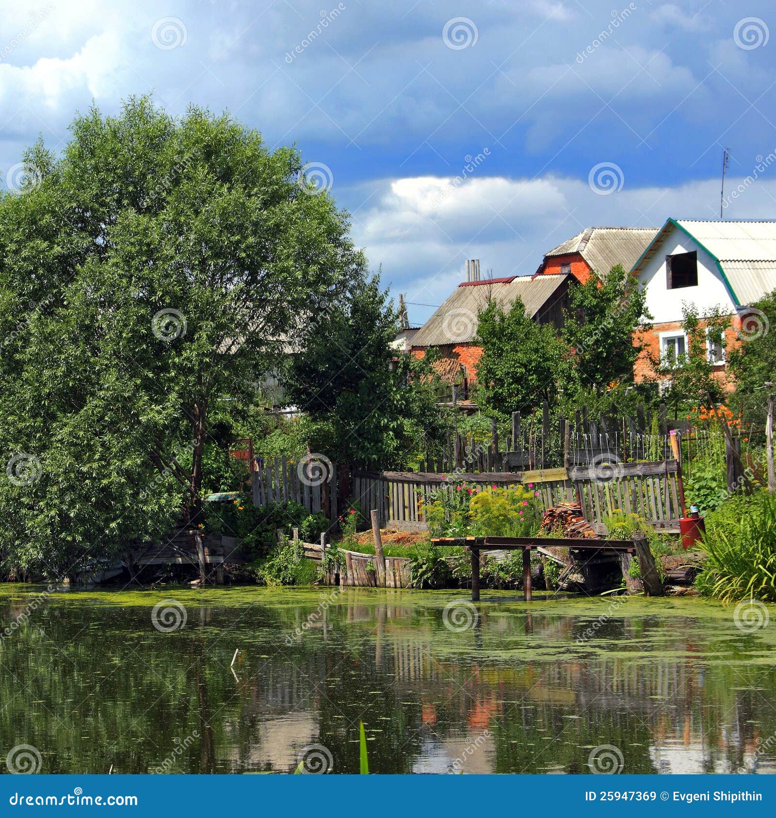 Old pond. stock image. Image of trees, fensing, green - 25947369