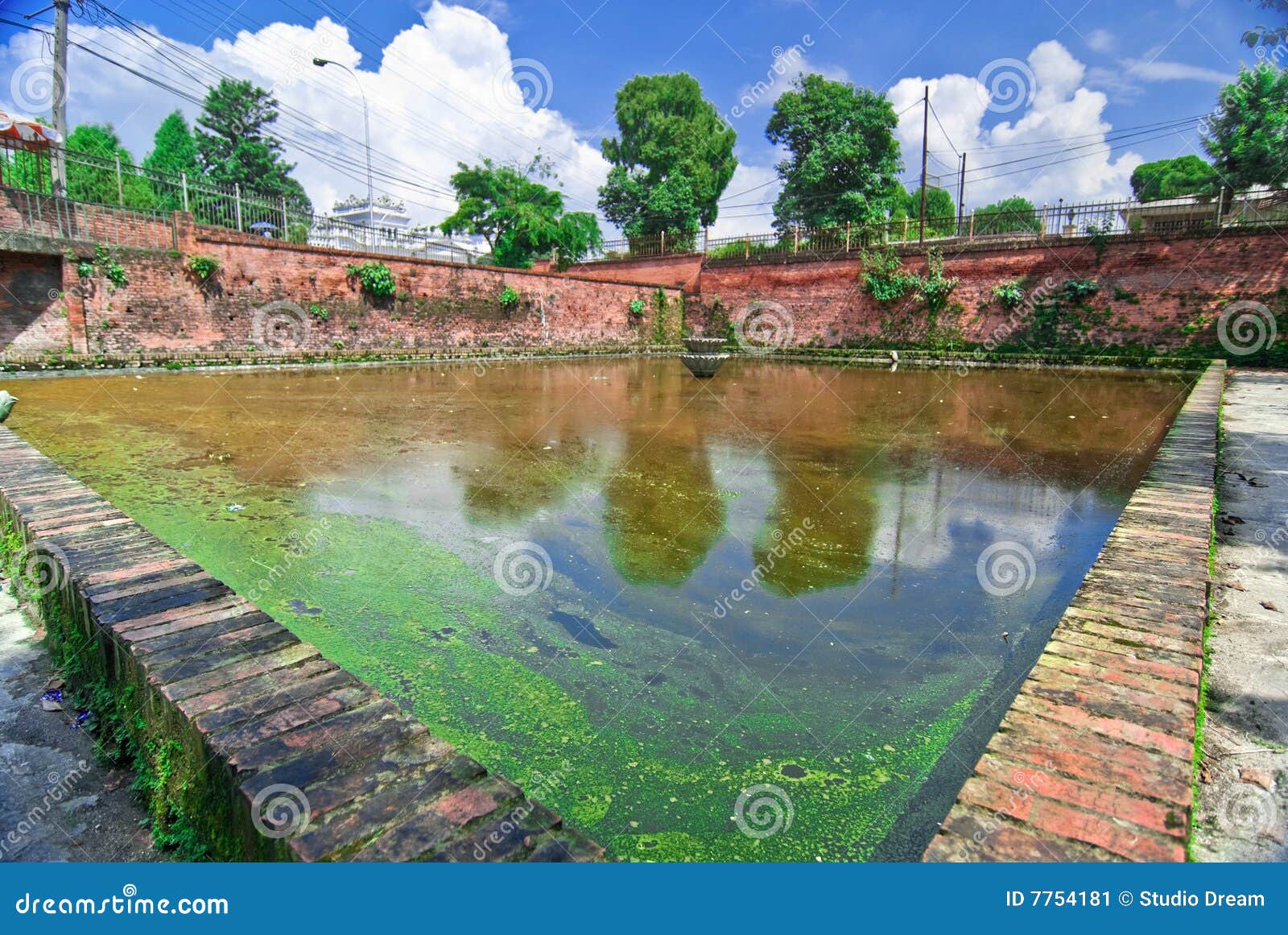 Old pond stock image. Image of grows, pool, element, green - 7754181