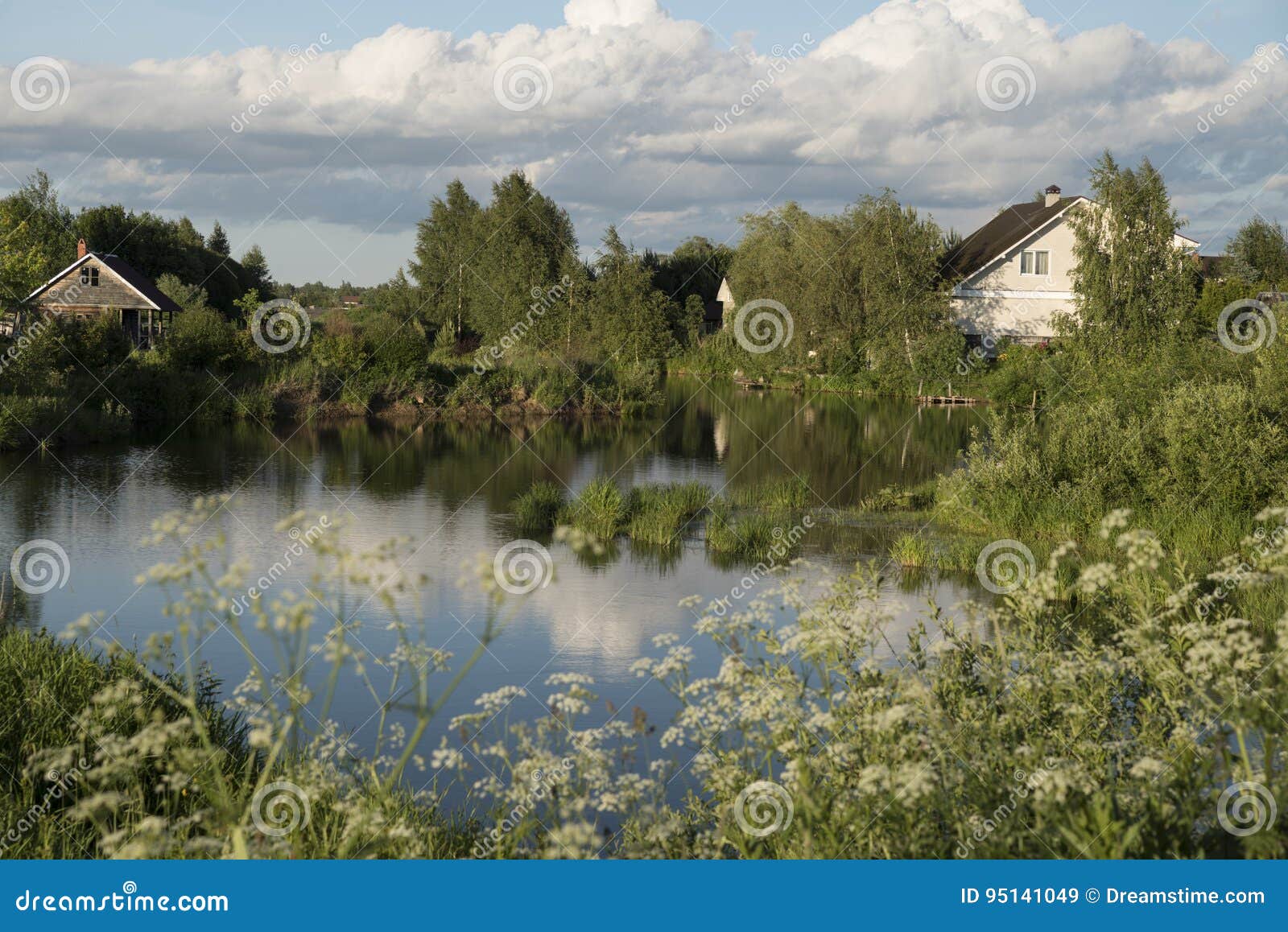 Old pond. stock image. Image of exterior, green, garden - 95141049