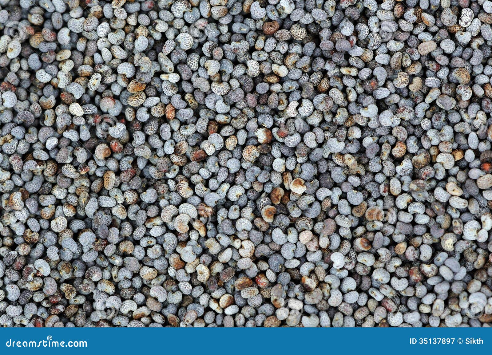 Old Poppy Seeds Macro stock image. Image of cooking, nutrition - 35137897