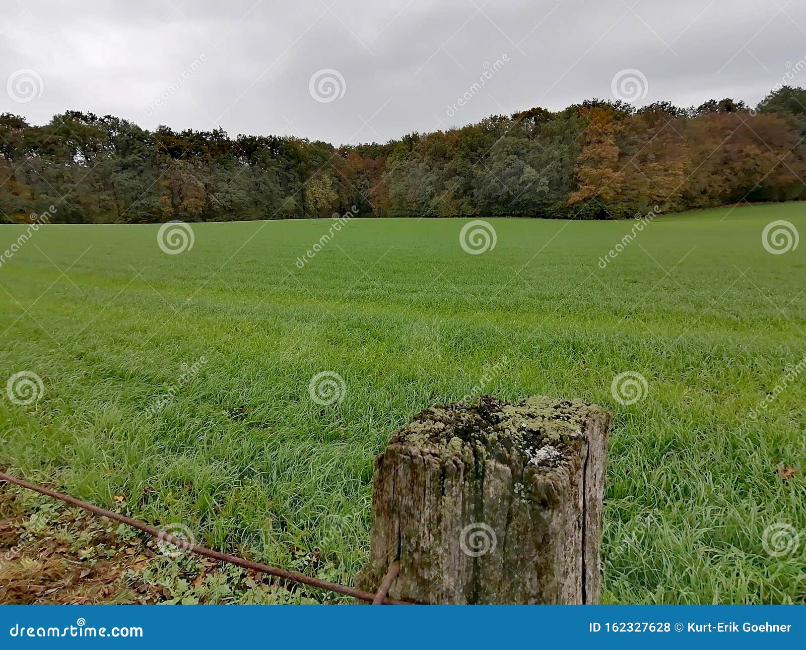 Old post with forest stock photo. Image of post, forest - 162327628