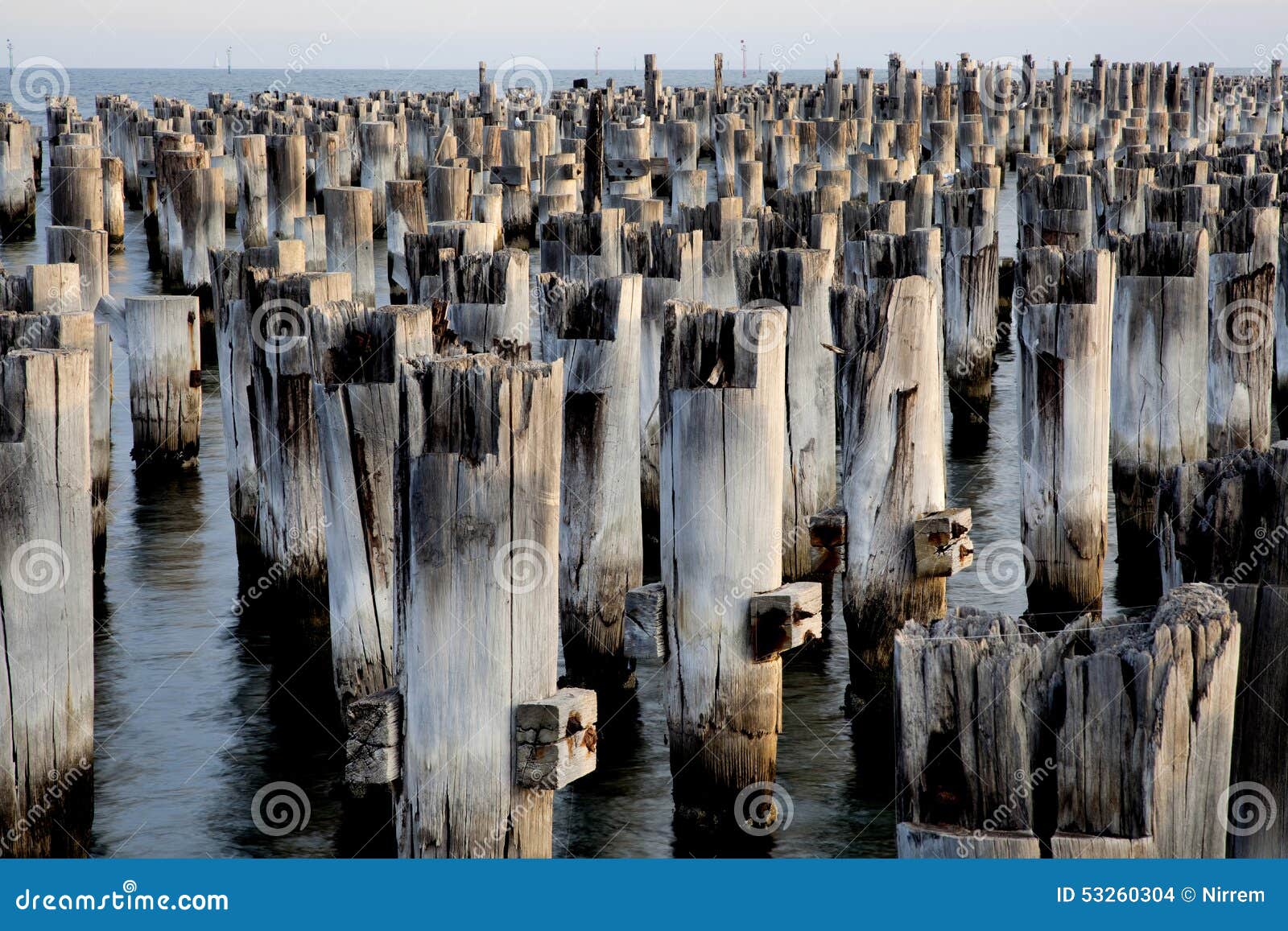 Old posts of a pier stock photo. Image of ocean, disrepair - 53260304