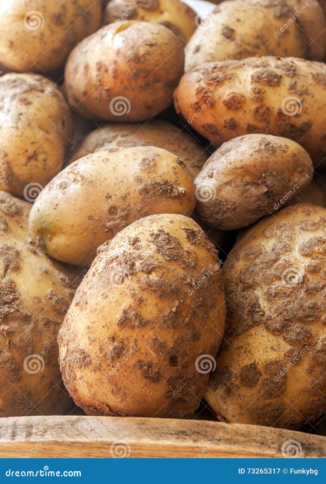 Old potatoes close up stock image. Image of garden, health - 73265317