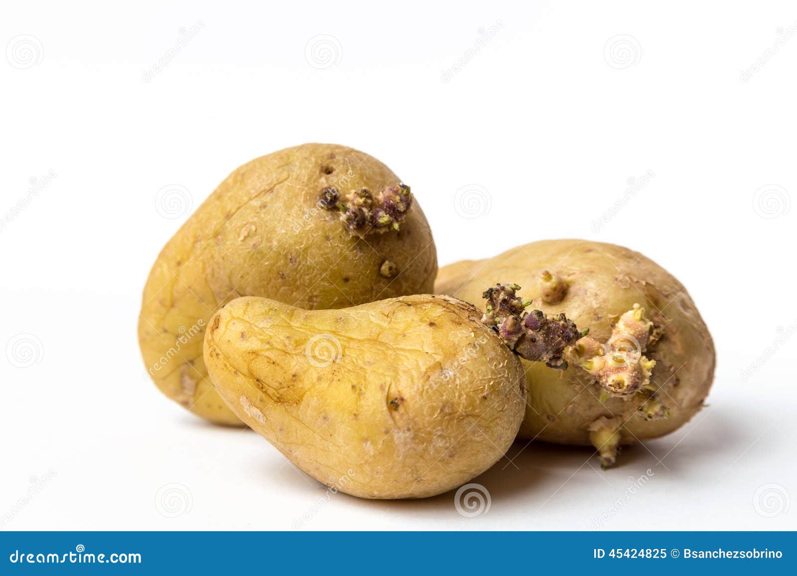 Old potatoes stock image. Image of agriculture, three - 45424825