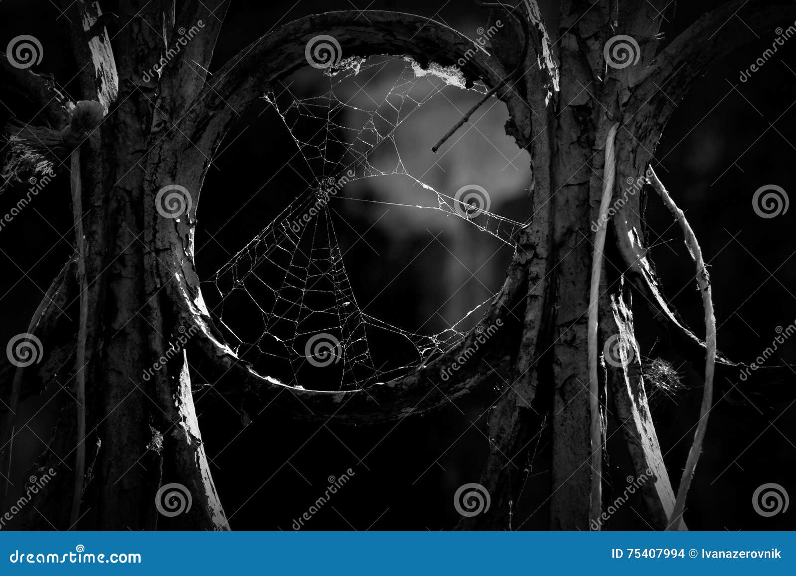 Old Prison Fence Detail with a Spider Web Stock Photo - Image of doors ...
