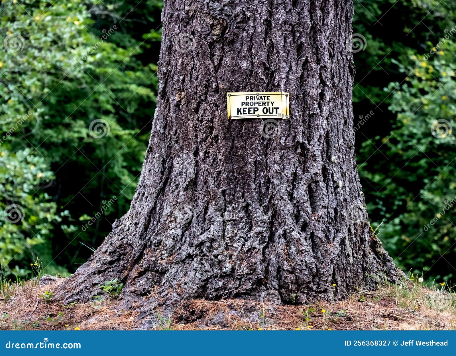 Old Private Property Keep Out Sign on Tree Trunk Stock Image - Image of ...