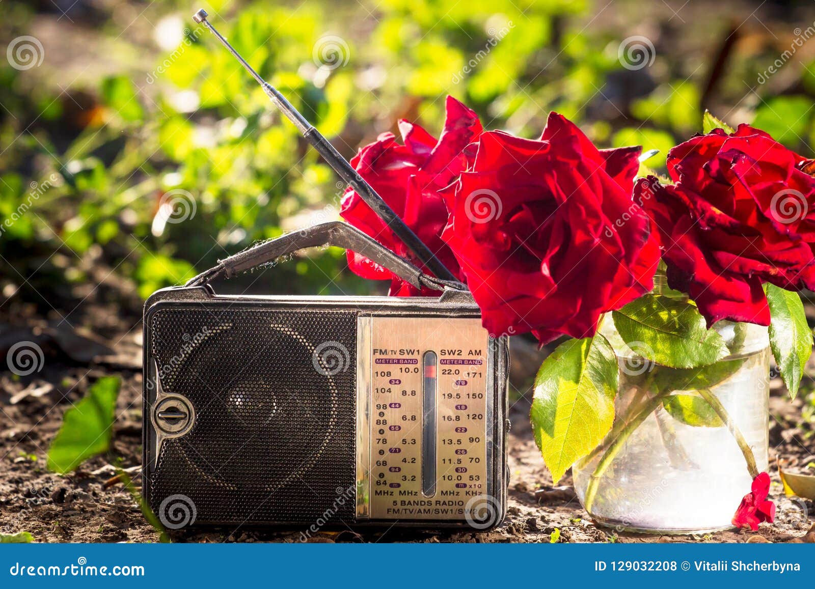 Old radio with roses stock photo. Image of flower, life - 129032208