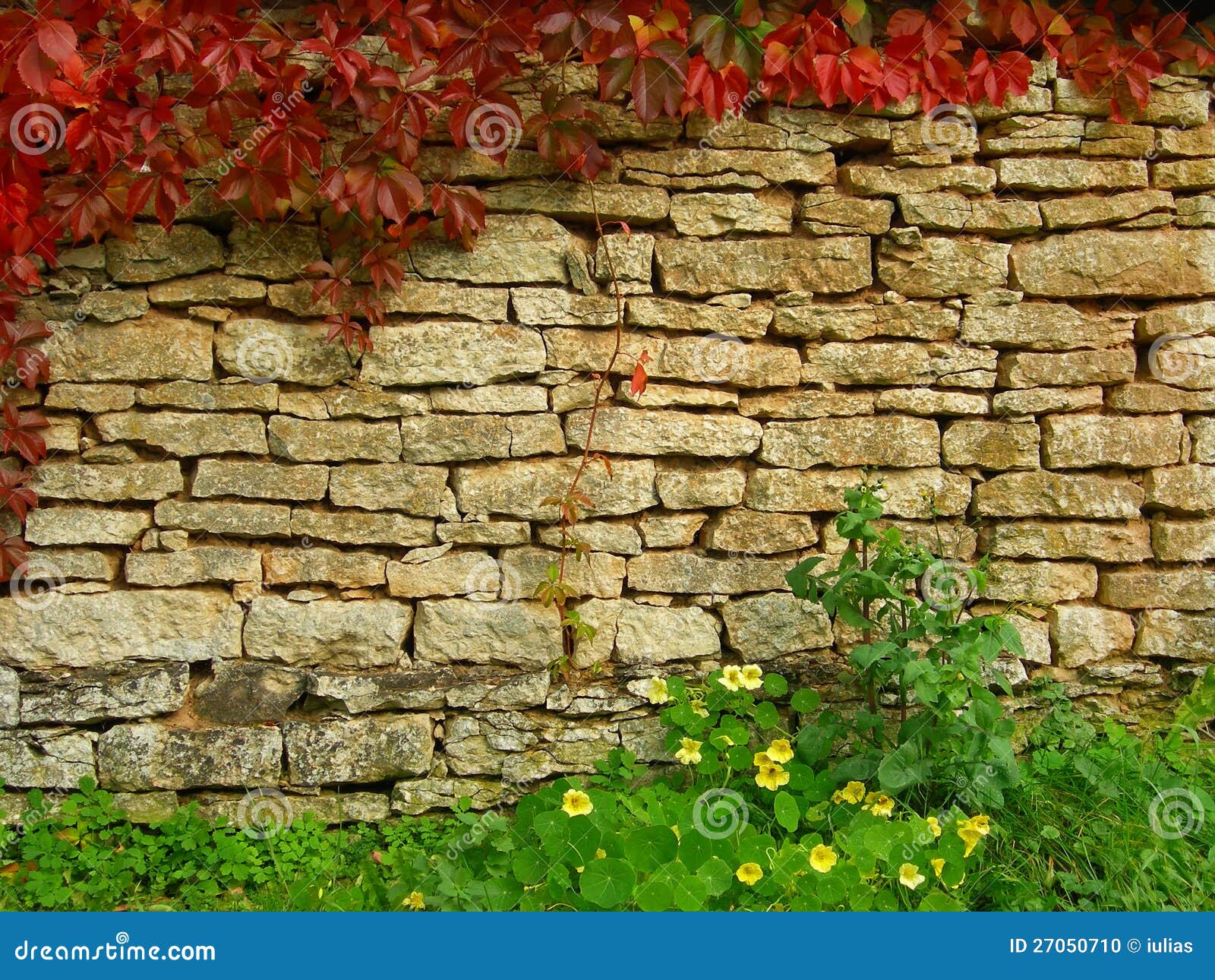 Old, Ragged Brick Wall Texture with Fall Greenery Stock Photo - Image ...
