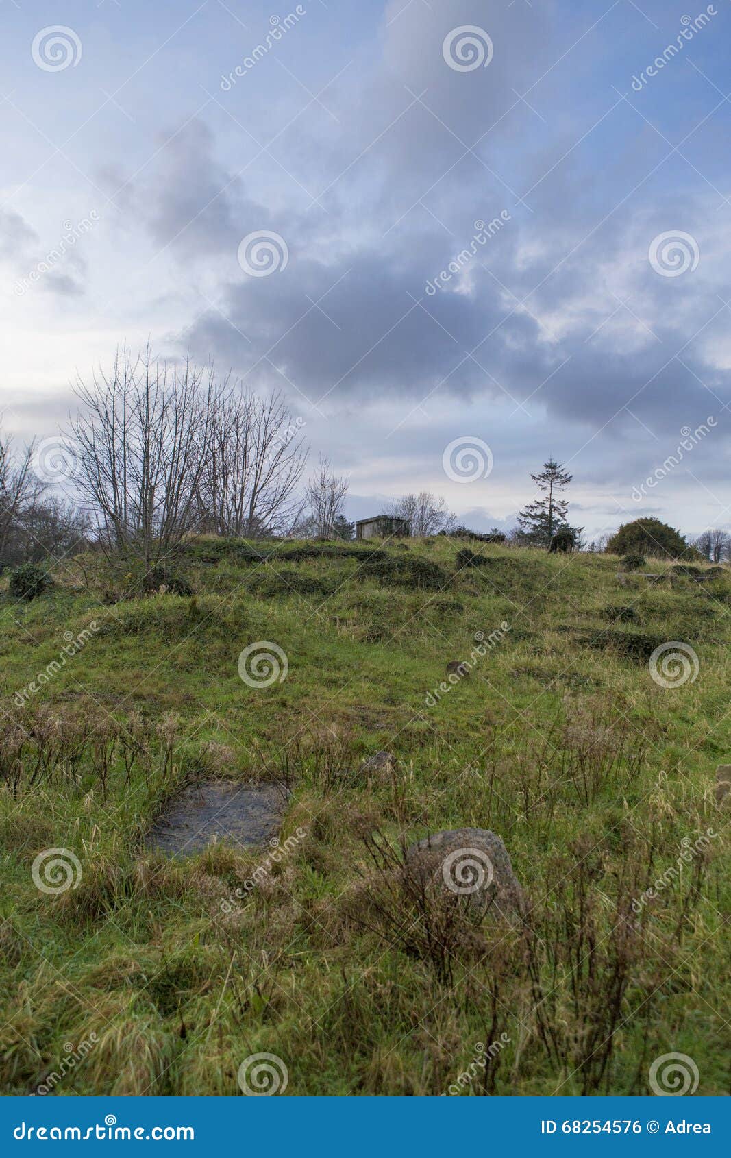 Visiting the Old Rahoon Cemetery Stock Photo - Image of churchyard ...