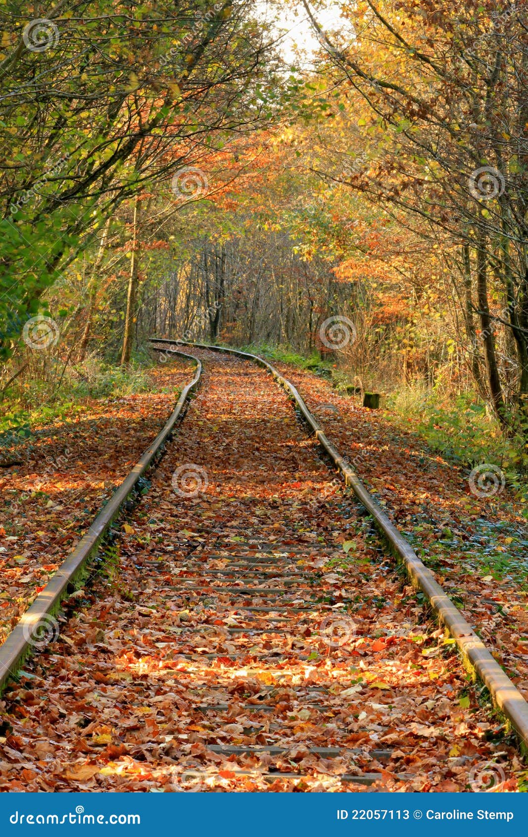 Old rail track stock image. Image of road, outdoor, forest - 22057113