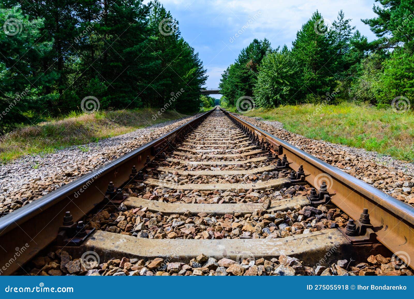 Old Railroad in Forest on Summer Stock Photo - Image of iron, commuting ...