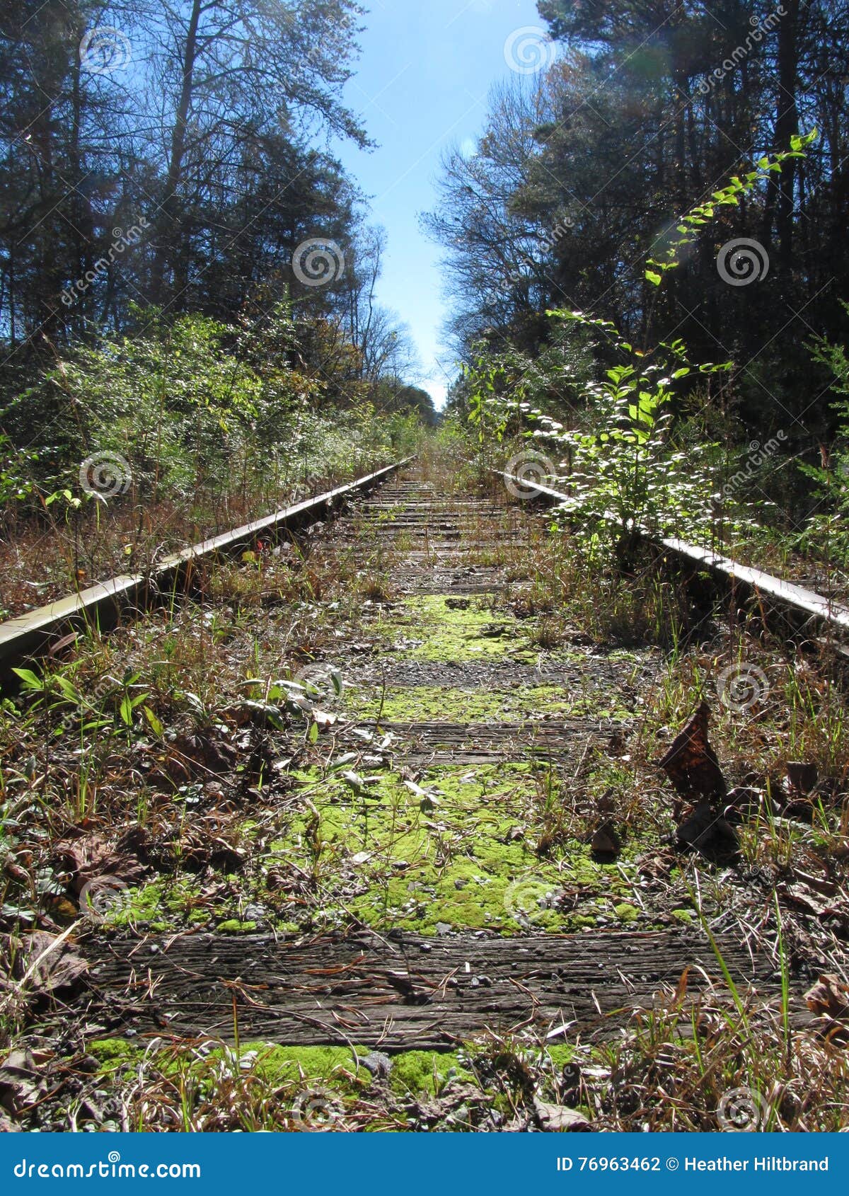 An Old Railroad stock photo. Image of woods, abandoned - 76963462