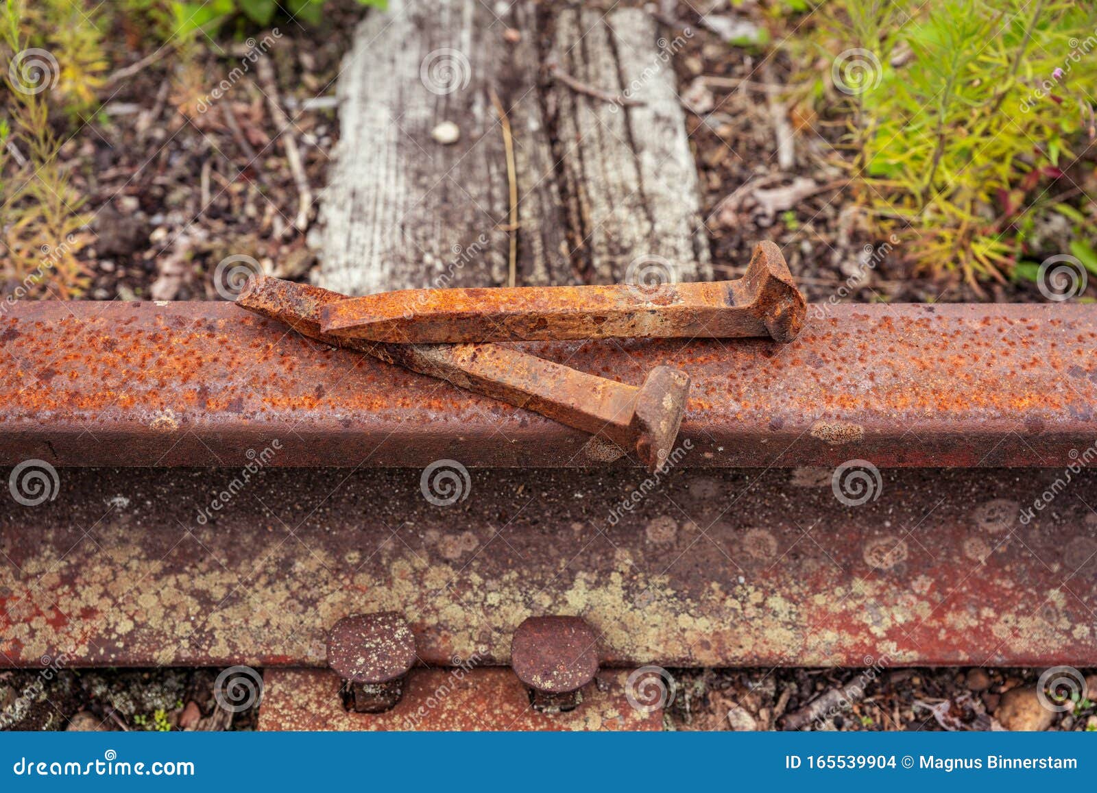 Old Railroad Track with Two Large and Rusty Rail Nails Stock Photo ...