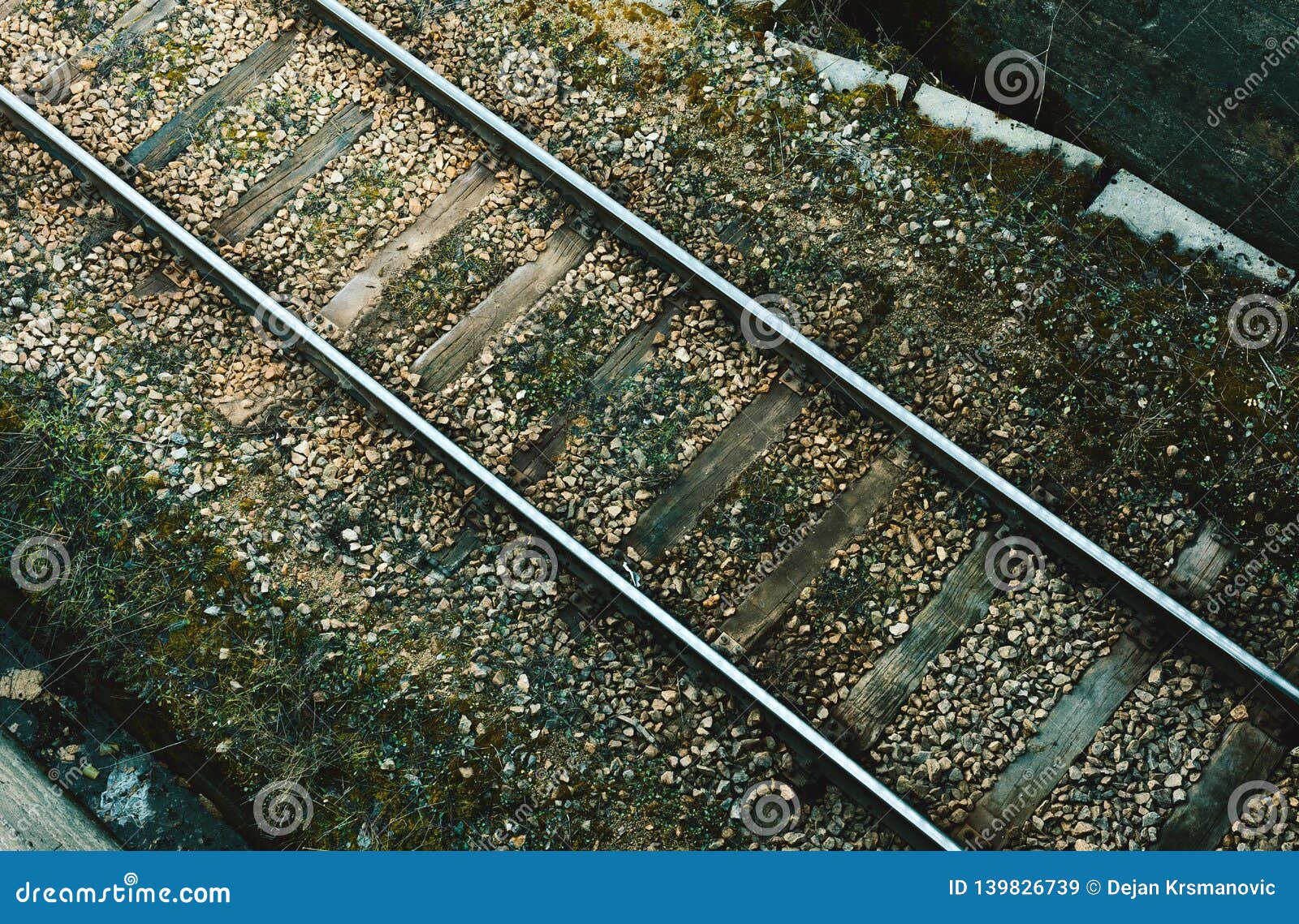 Old Rails and Green Moss stock image. Image of metal - 139826739
