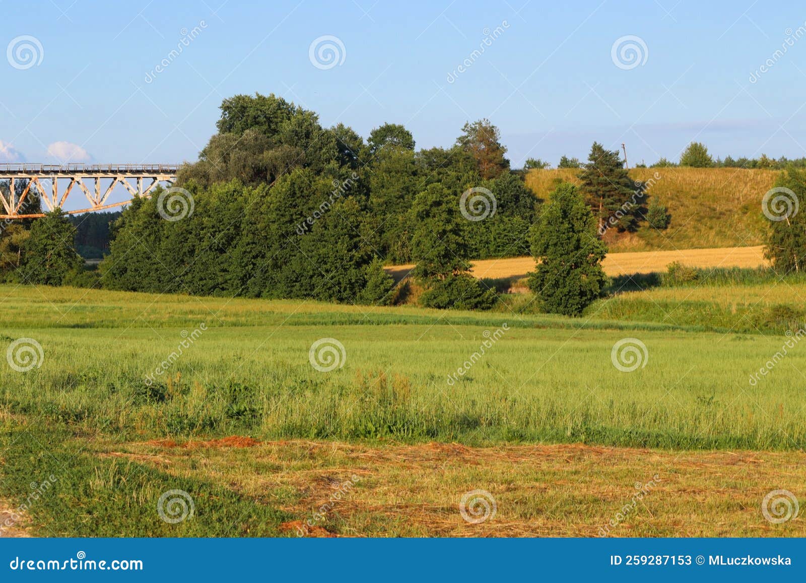 Old Railway Bridge Over the Meadow and Fields Stock Image - Image of ...