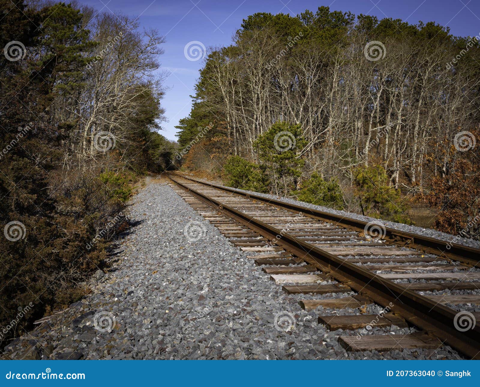 Rusted Train Tracks Over Gray Gravels Curving into the Winter Forest ...