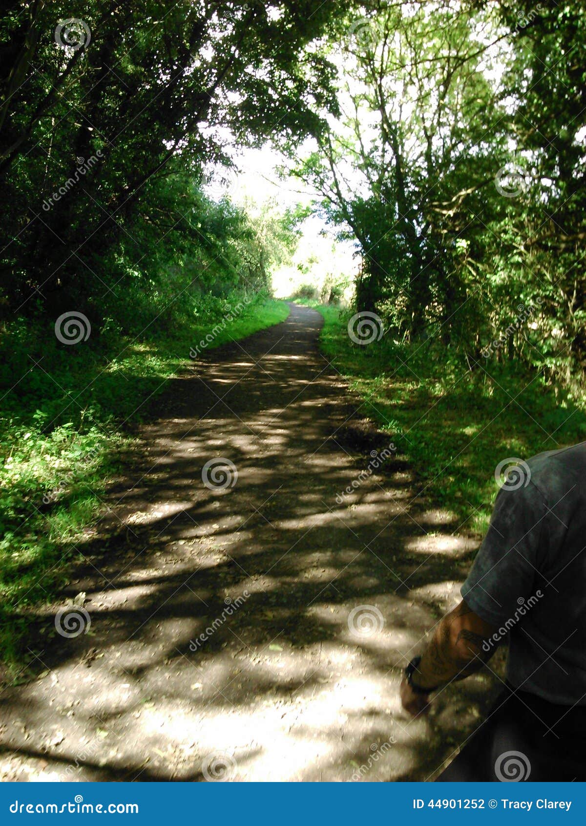 Woodland walk, Hunwick stock photo. Image of site, peaceful - 44901252