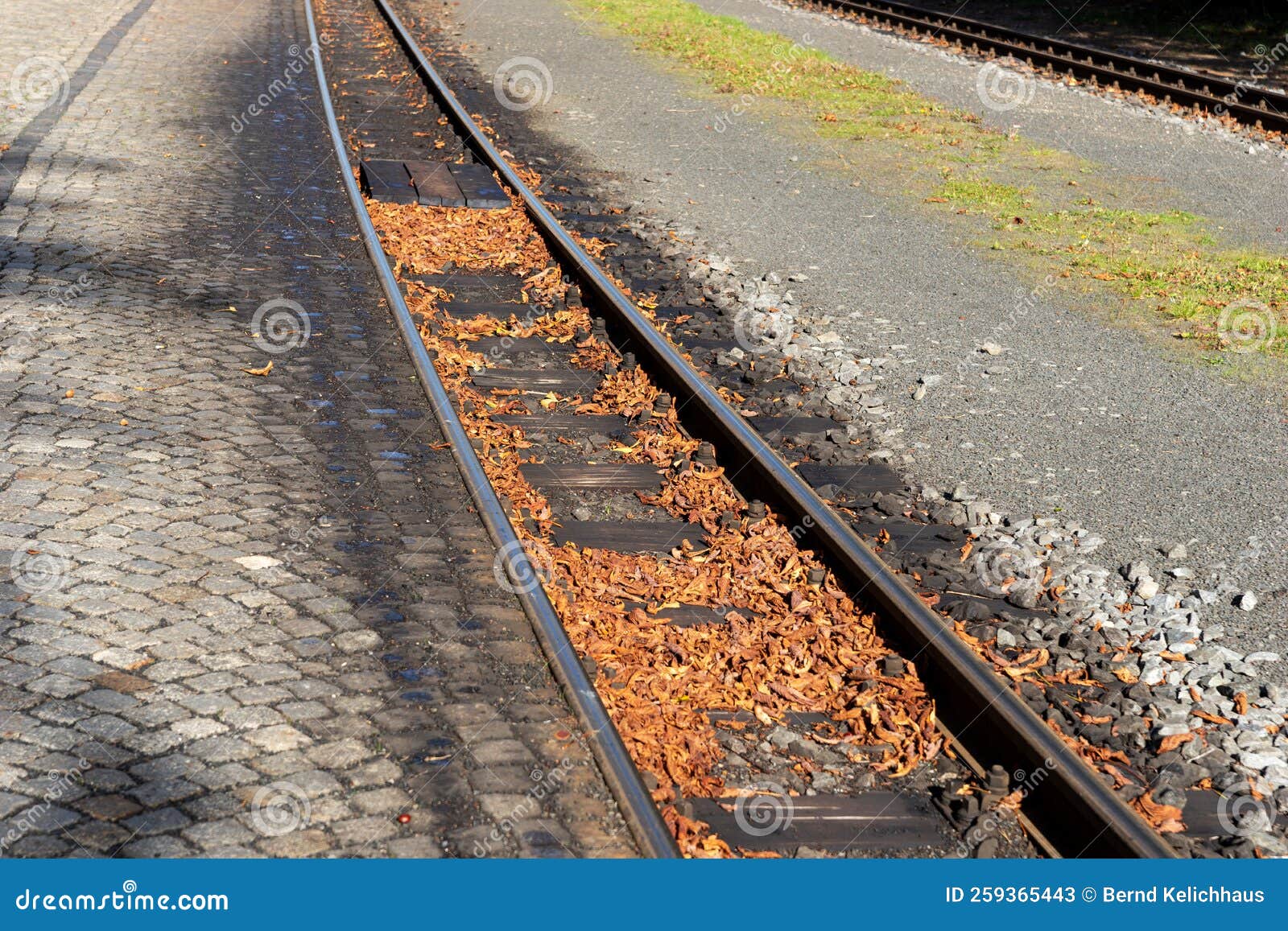 Railway Rails with Autumn Leaves Stock Image - Image of season, station ...