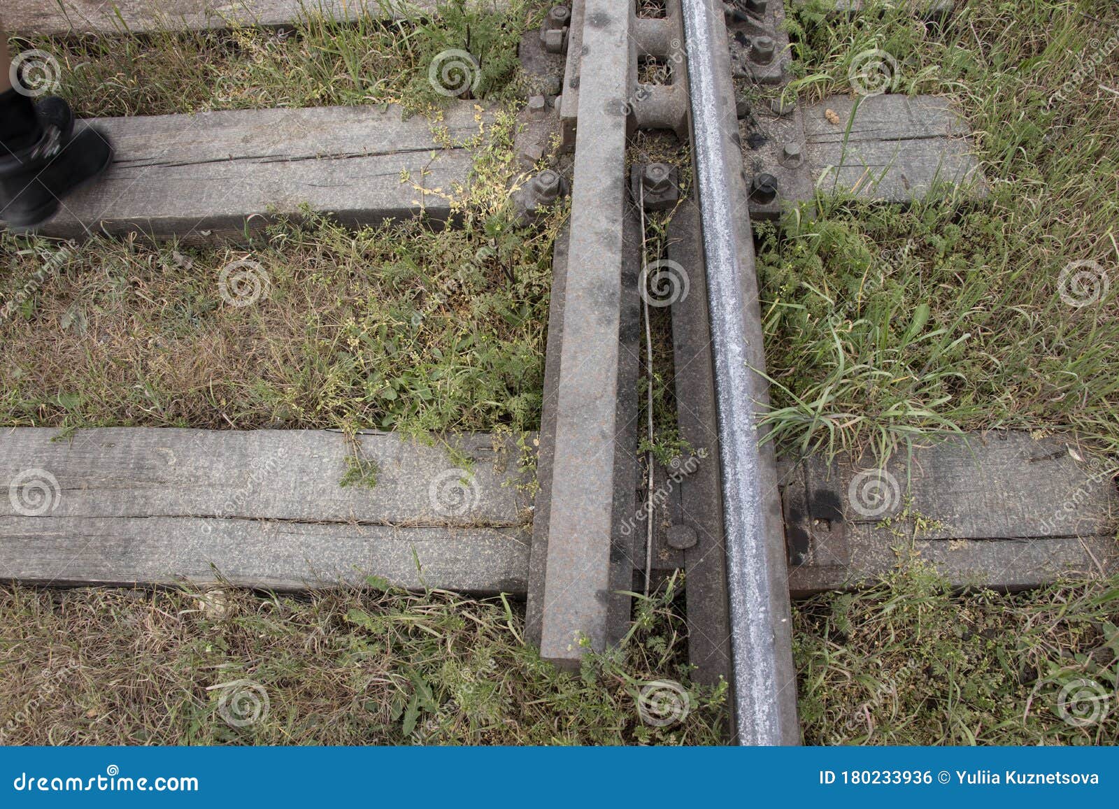 The Old Railway. Rails Overgrown with Grass Stock Photo - Image of ...