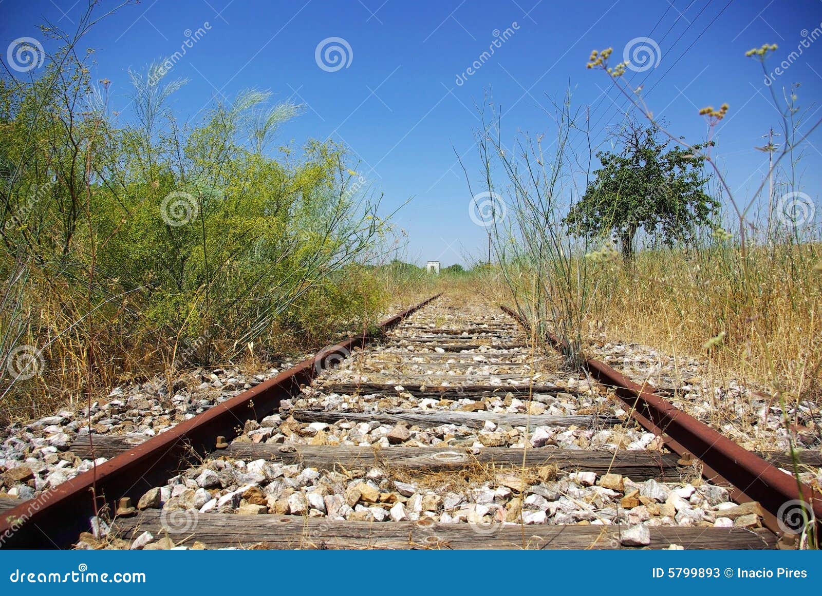 Old Railway Track in the Plain. Stock Image - Image of background ...