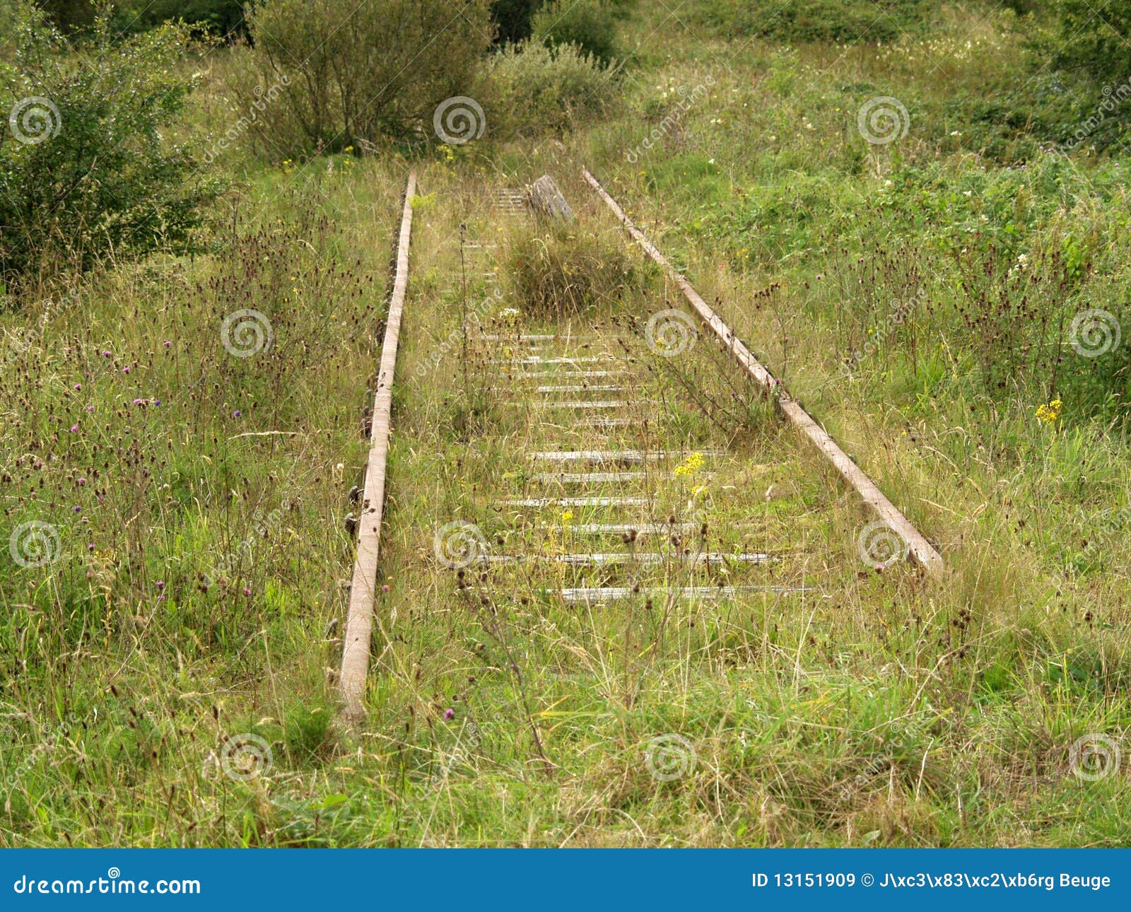 Old Railway Track and Some Grass Stock Image - Image of weed, landscape ...
