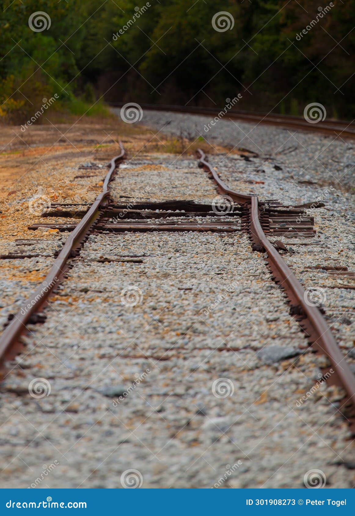 Vanishing Trails: Exploring the Abandoned Railway Line Stock Image ...