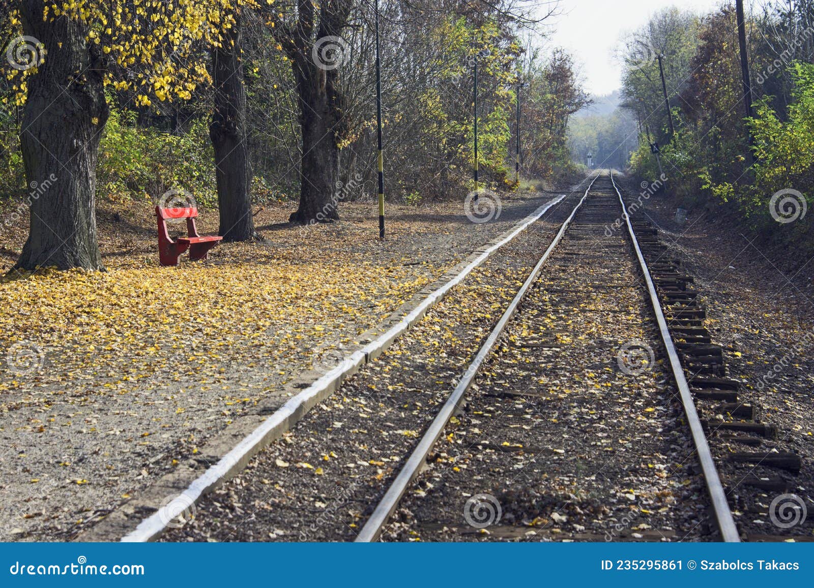 Old Railways in Autumn at a Small Train Stop Stock Image - Image of ...