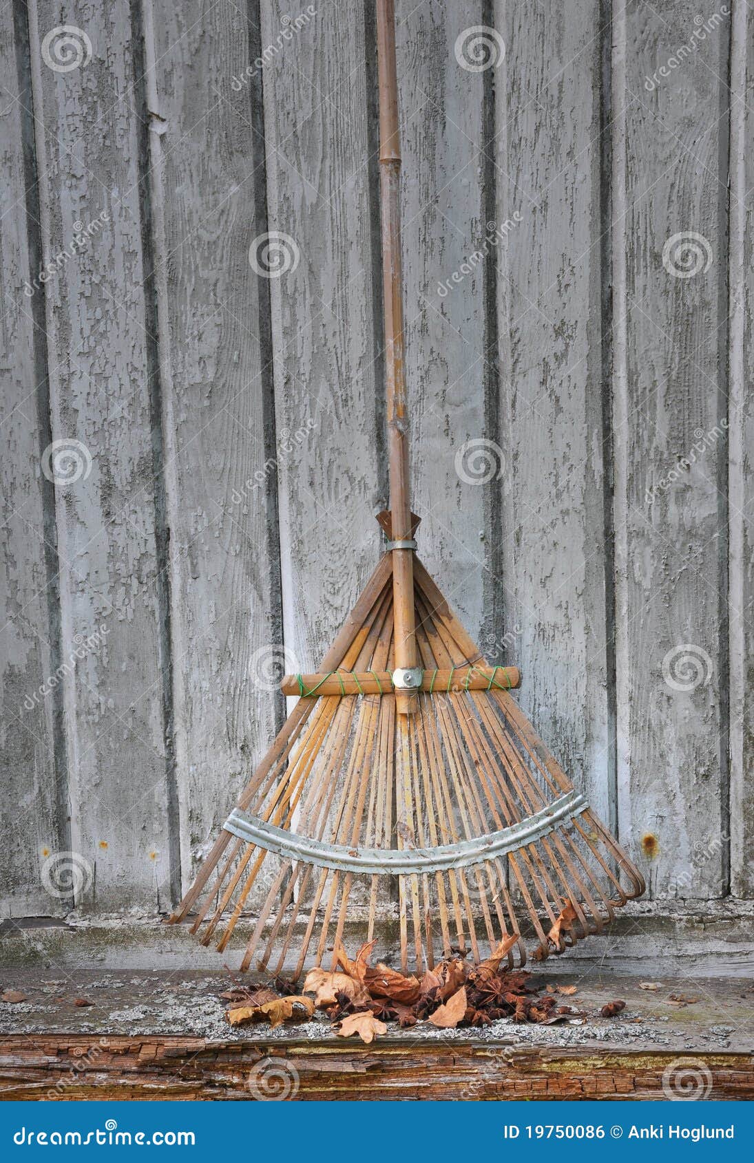 Old rake stock photo. Image of backyard, rake, equipment - 19750086