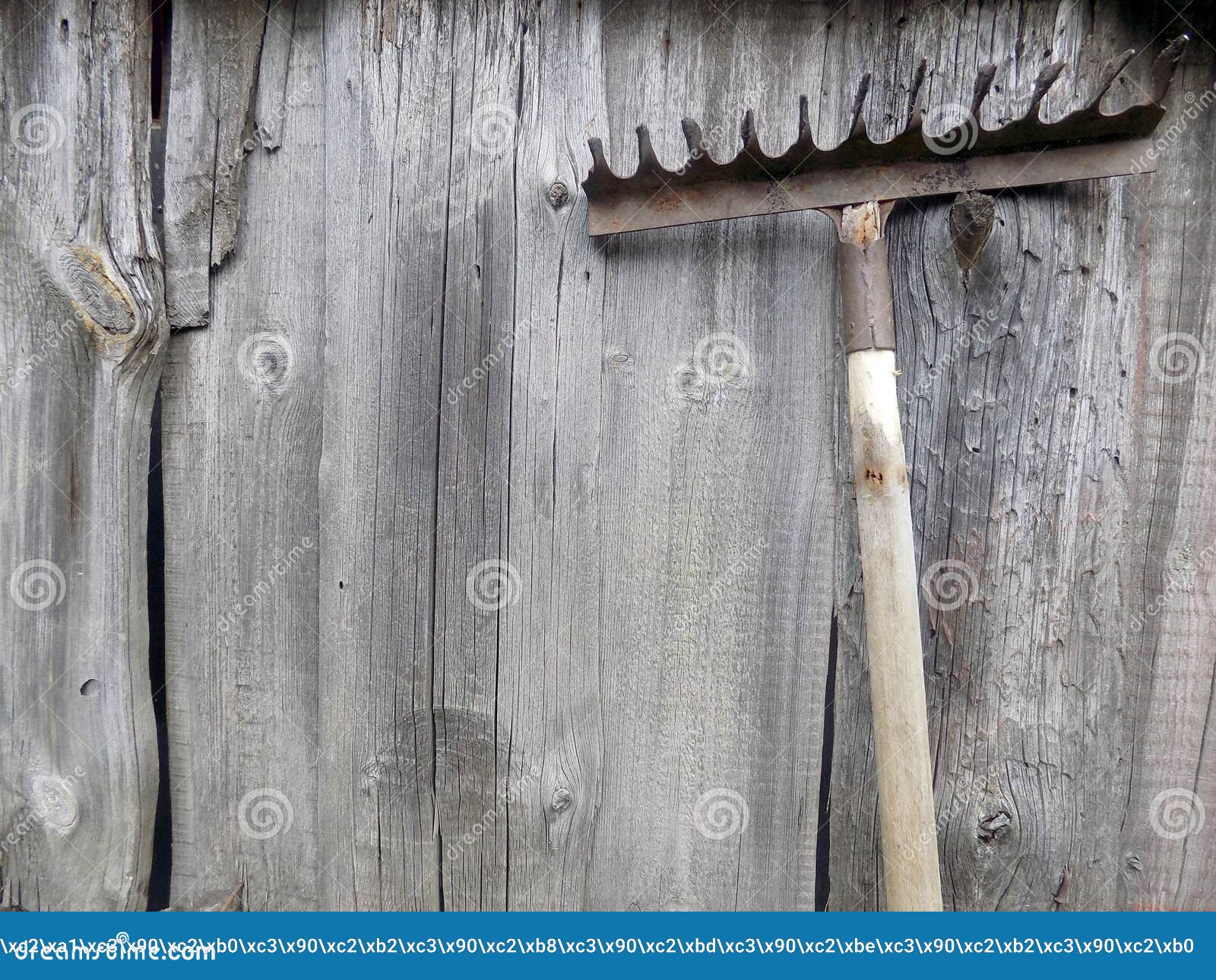 Old rake stock photo. Image of wood, shadow, boards, cracks - 72778394