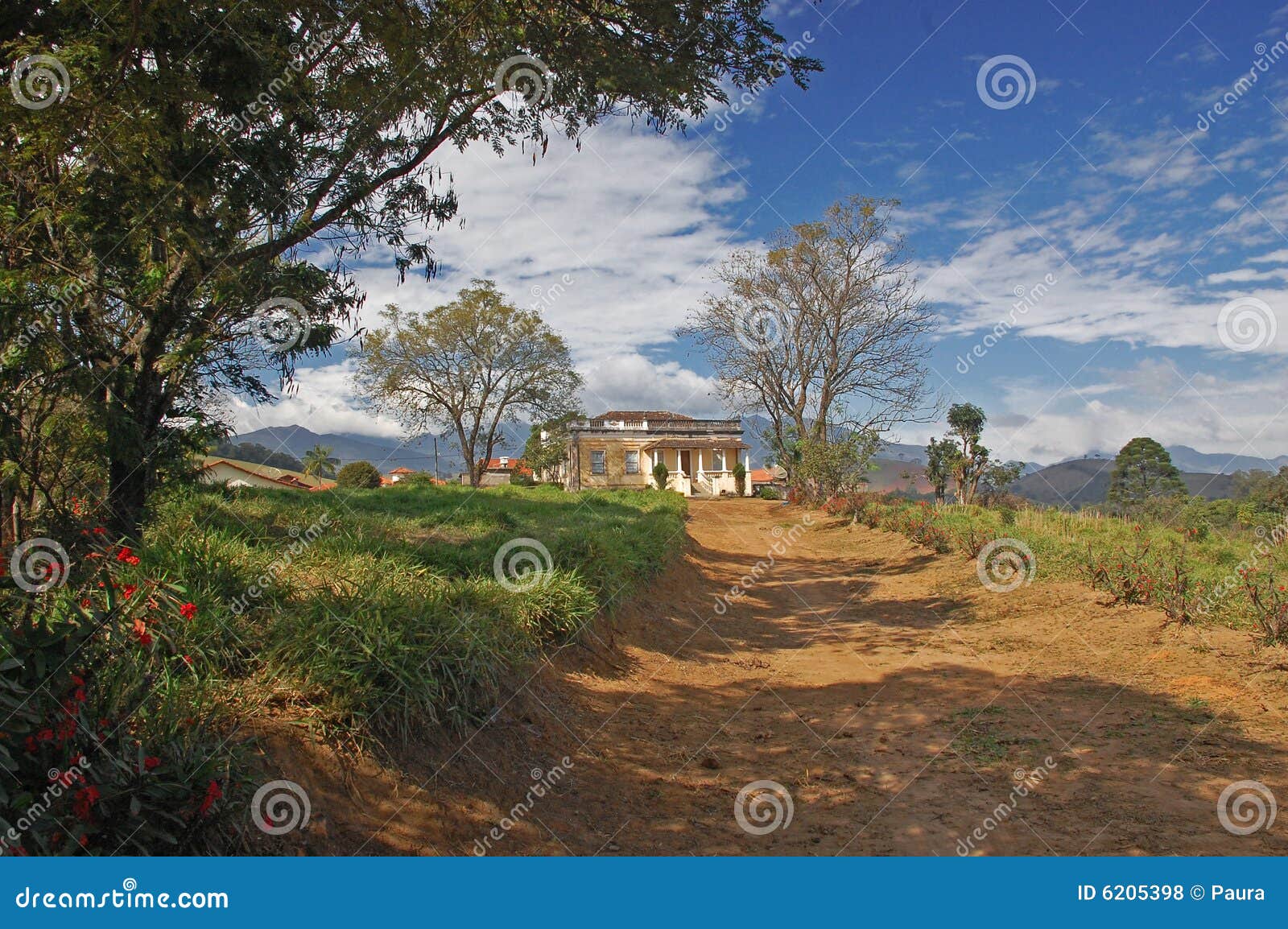 Old Ranch stock photo. Image of barnyard, door, habitat - 6205398