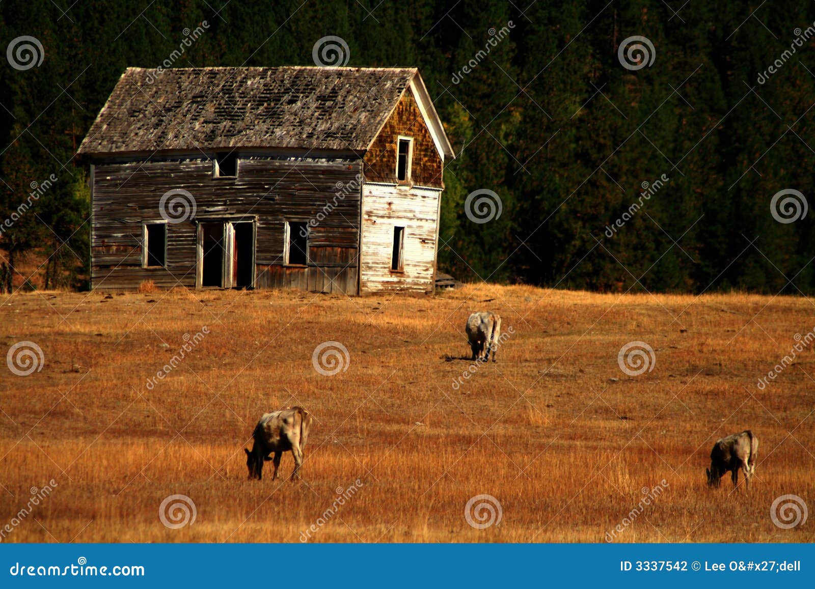 Old Ranch House 2 stock photo. Image of west, homestead - 3337542