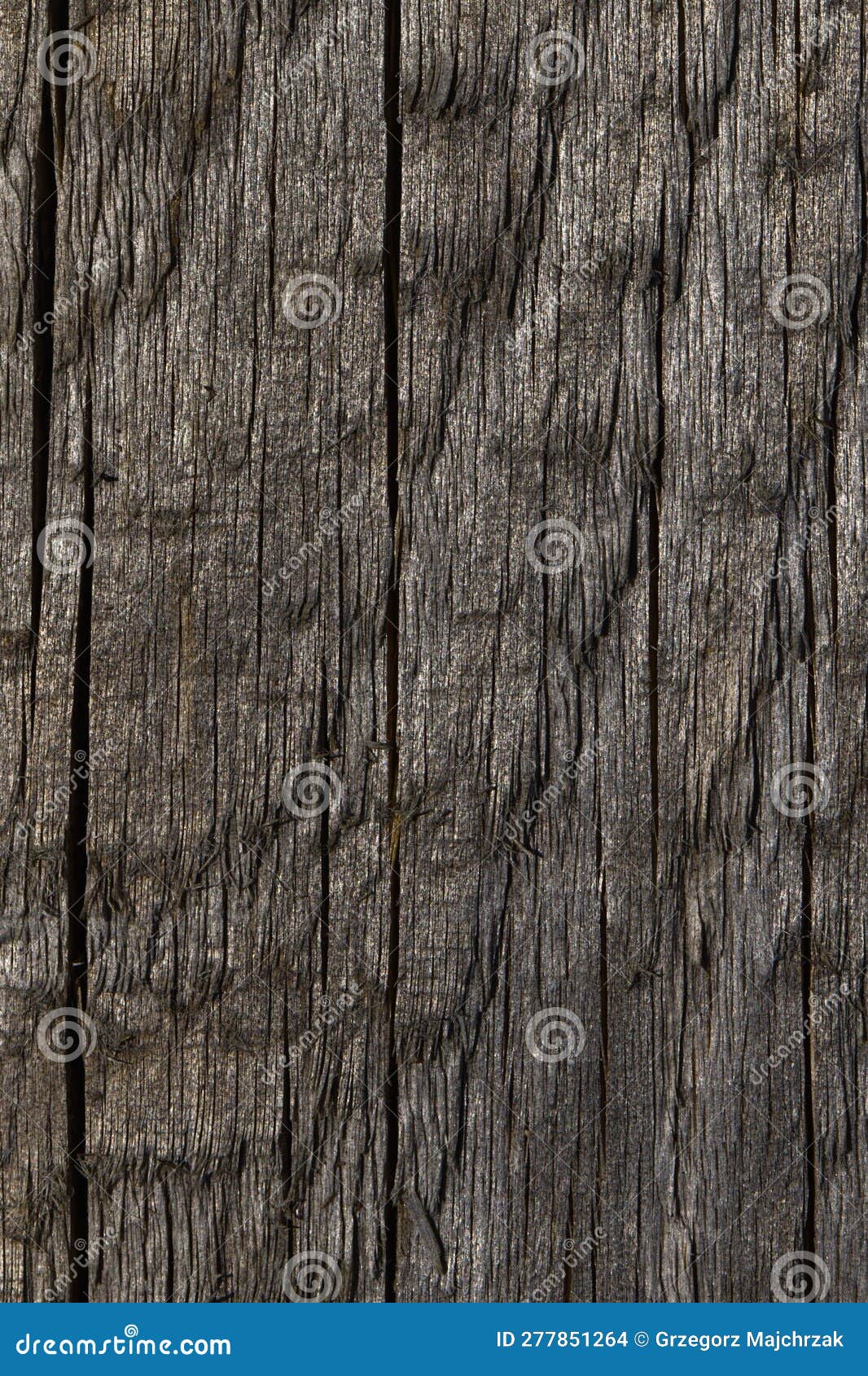 Old, Raw Boards Arranged in a Row Stock Photo - Image of yellow, line ...