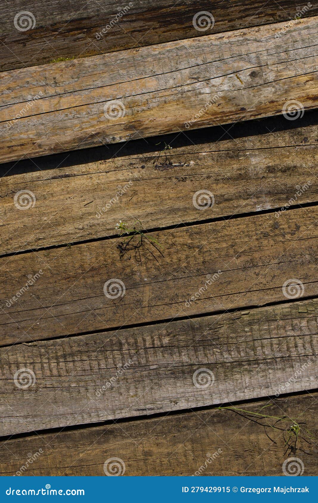 Old, Raw Boards Arranged in a Row Stock Image - Image of exotic, lumber ...