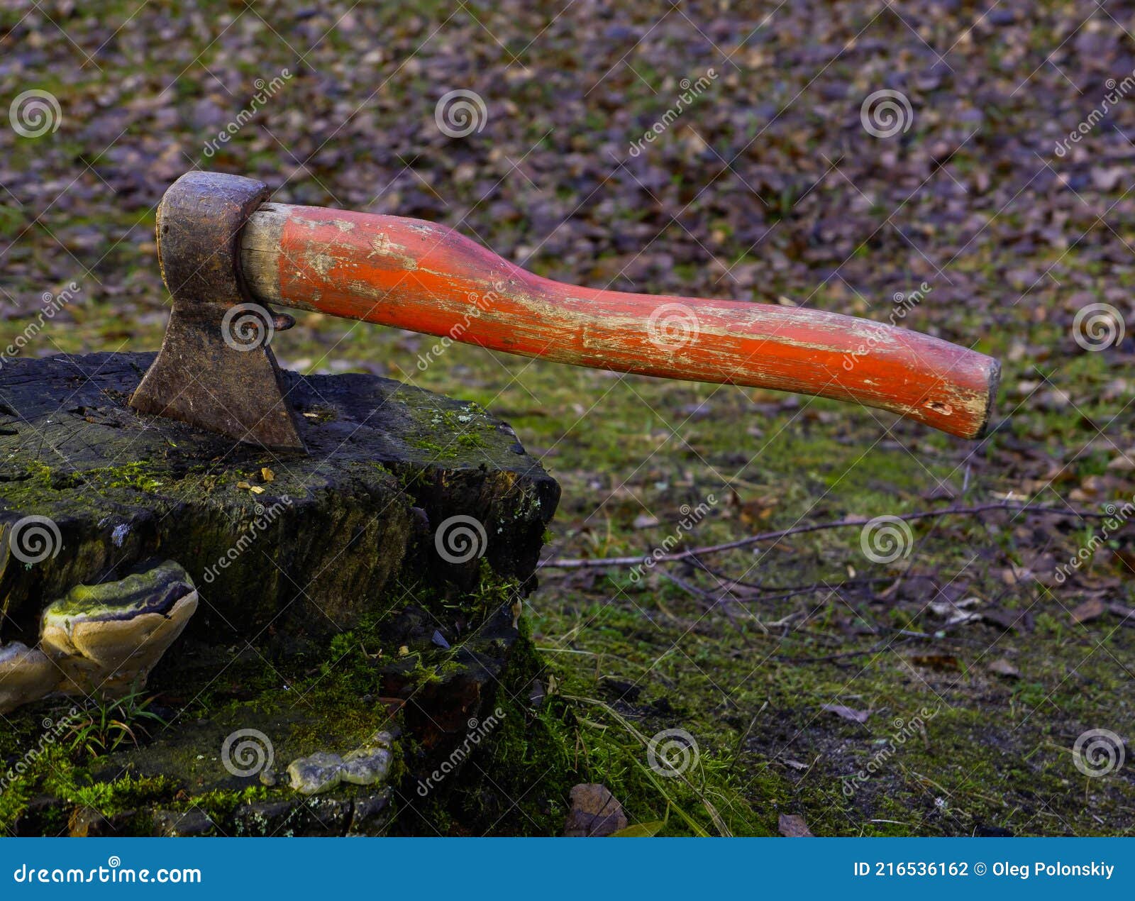 The Tourist Red Axe Stuck in the Tree Stump. Stock Photo - Image of ...