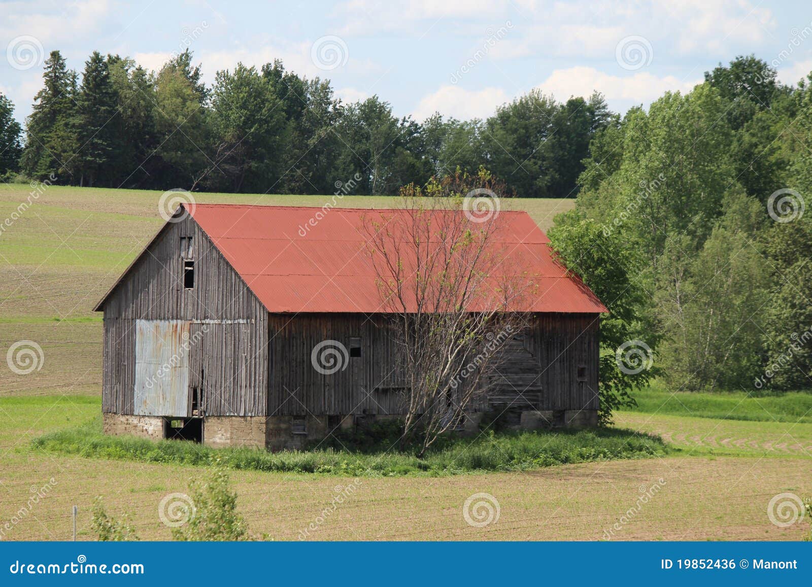 Old red barn stock photo. Image of country, building - 19852436