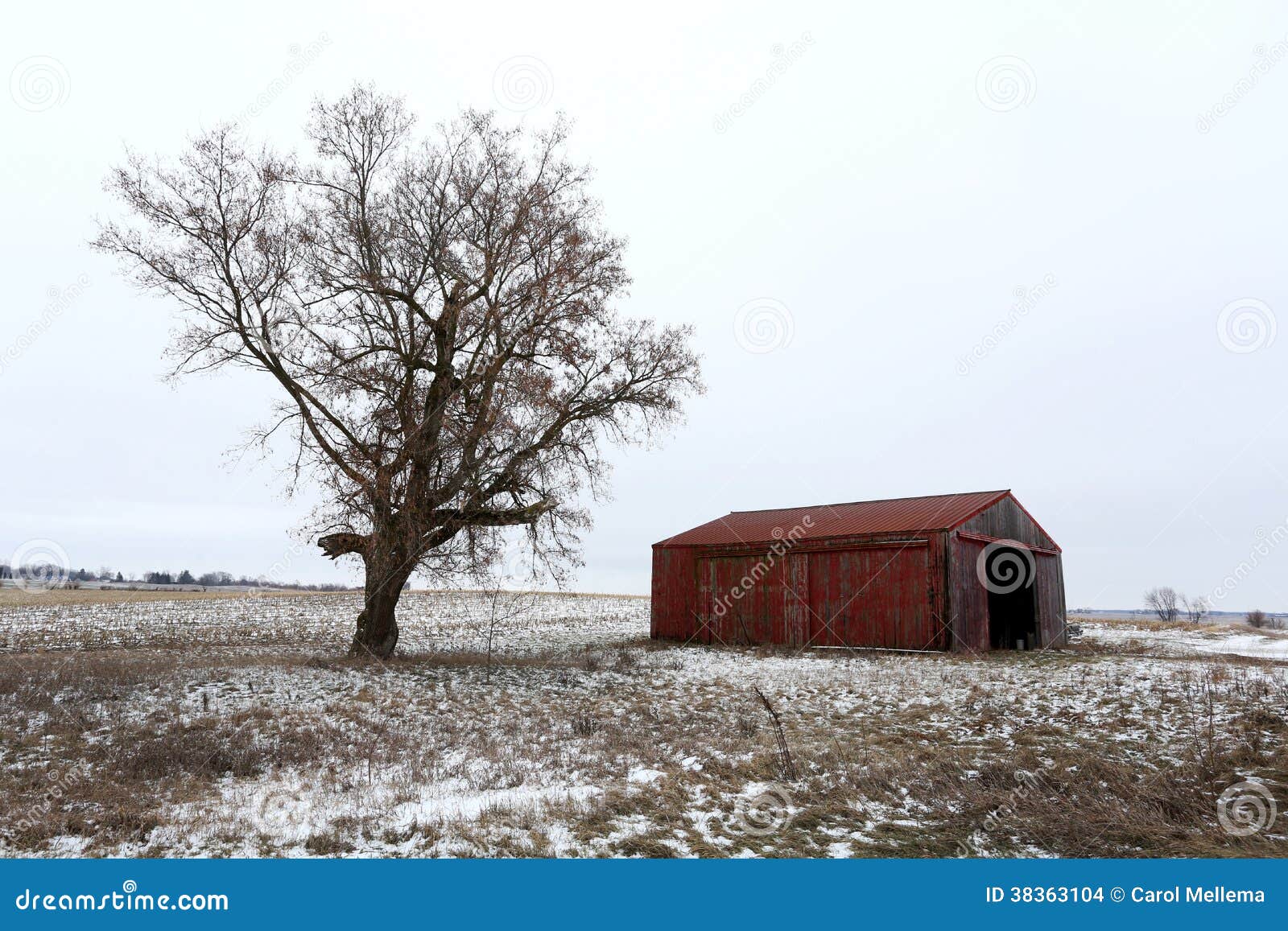 Old Red Barn and Bare Tree in Winter in Illinois Stock Photo - Image of ...