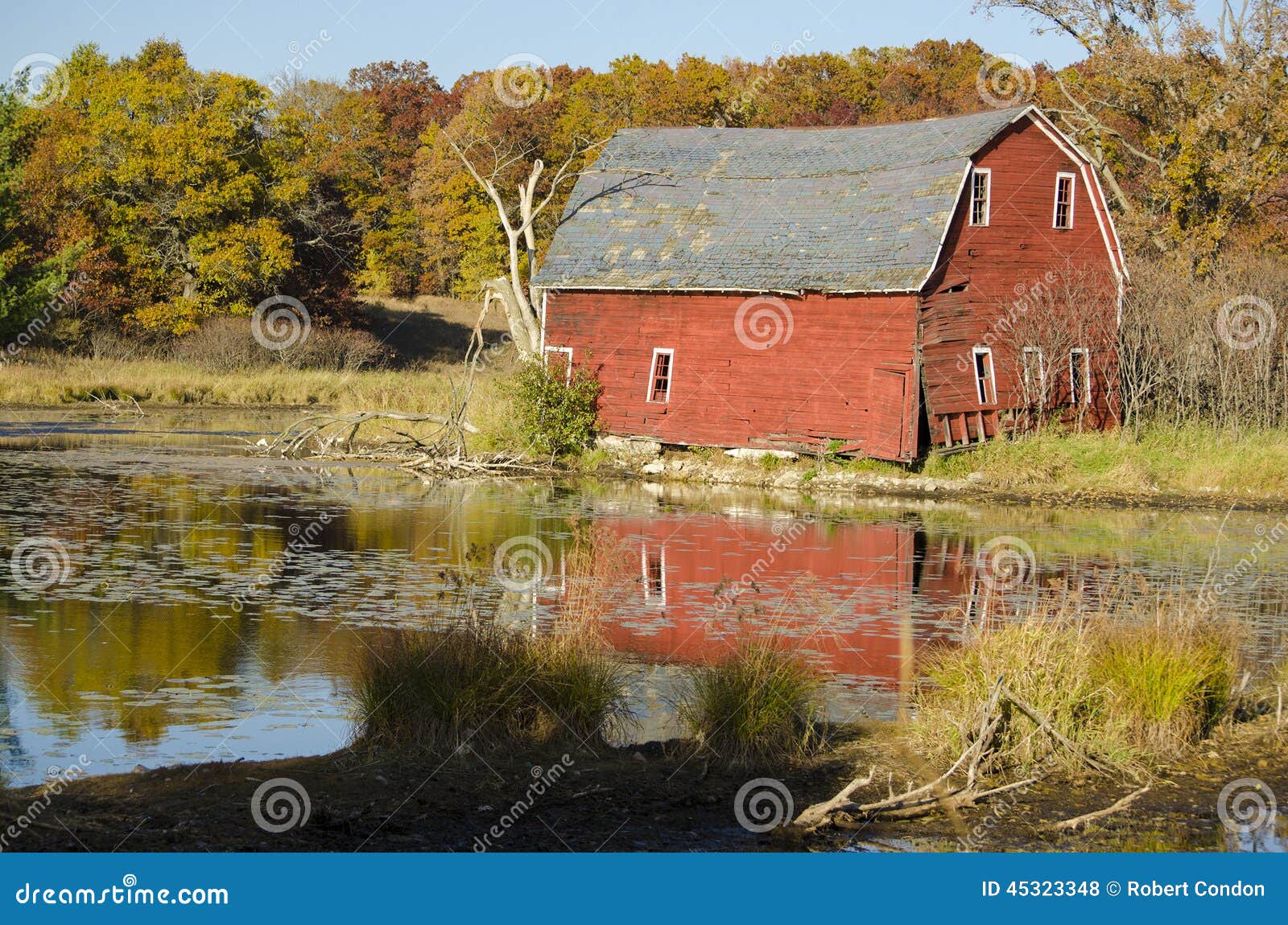 Old Red Barn on Country Pond Stock Photo - Image of trees, foliage ...