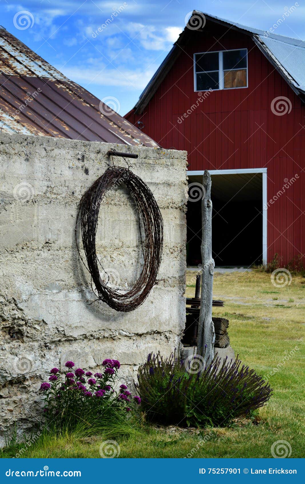 Old Red Barn Country Side Barbed Wire Stock Image - Image of midwest ...