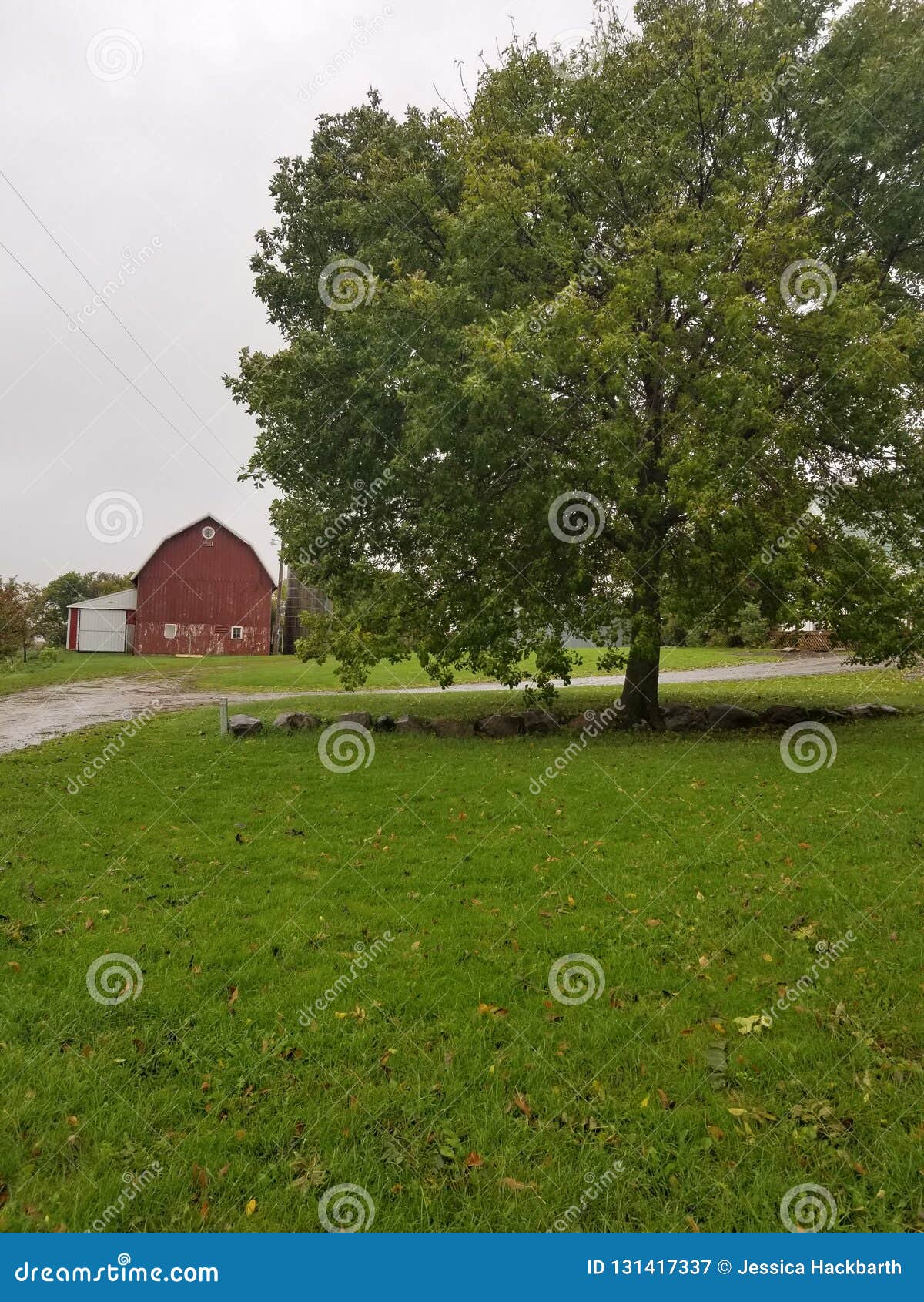 Beautiful barn and tree stock image. Image of full, beautiful - 131417337