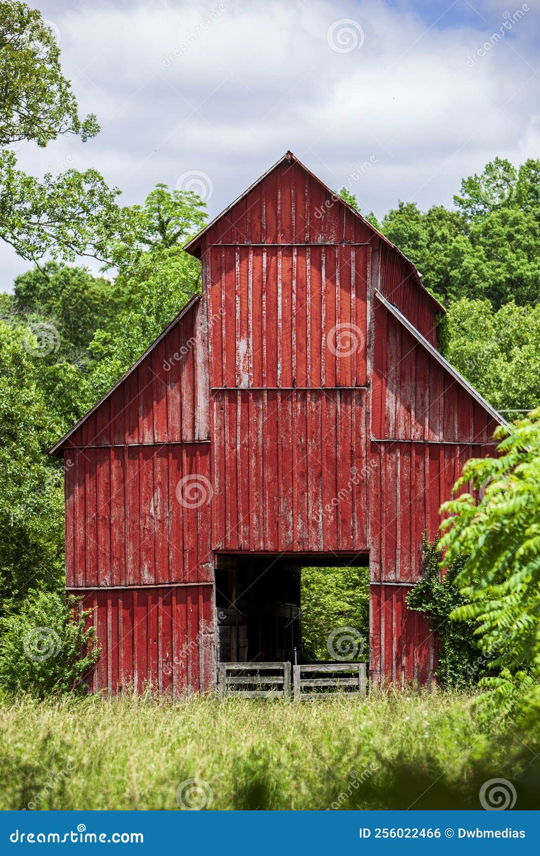 Old red barn stock photo. Image of blue, grass, color - 256022466