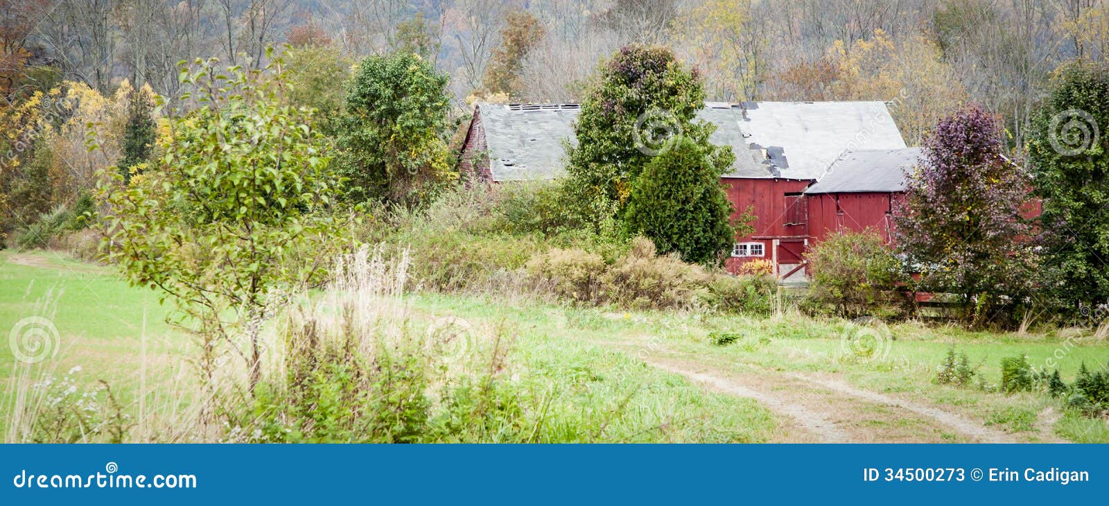 Old Red Barn Panorama stock image. Image of weeds, november - 34500273