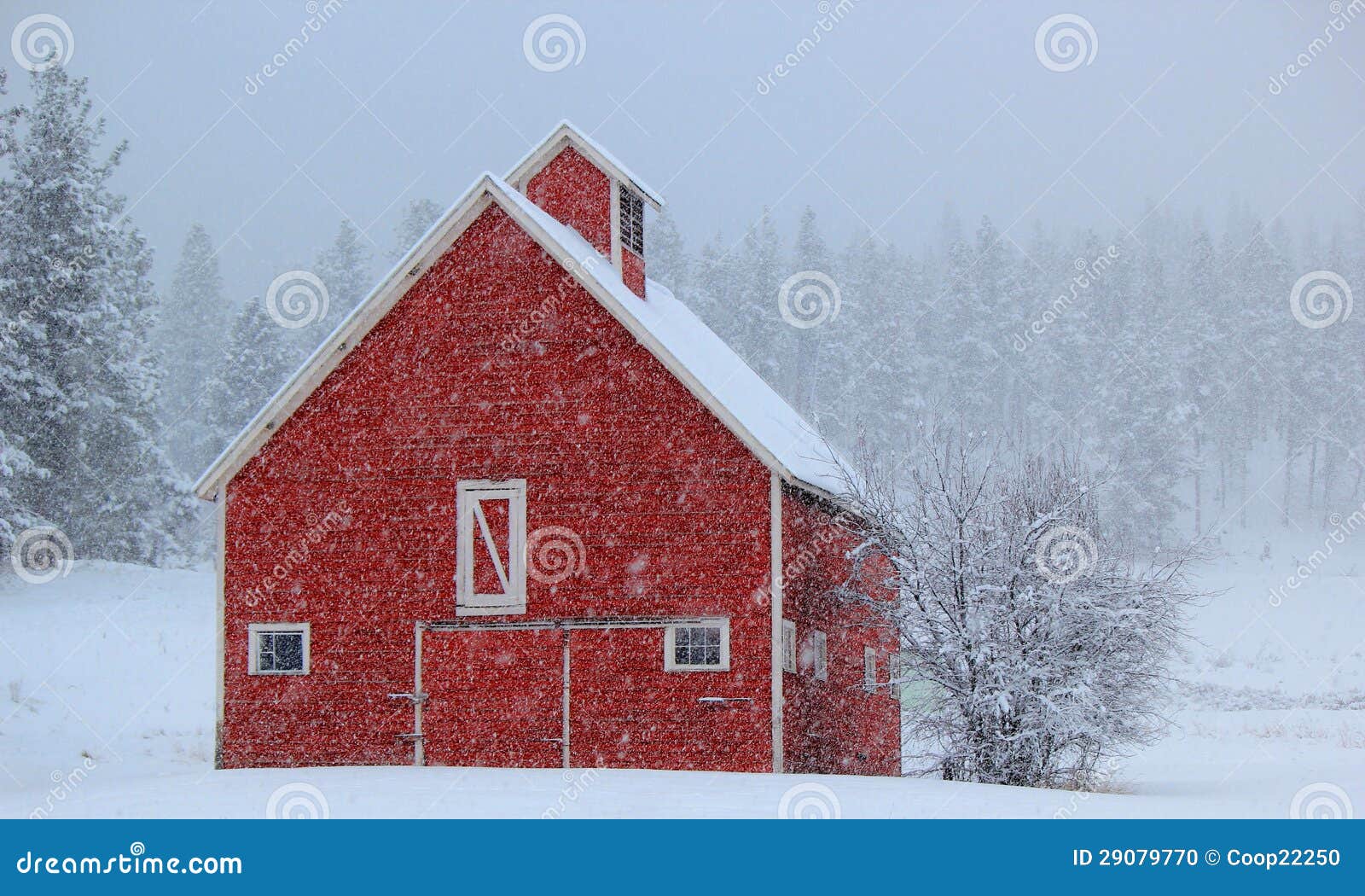 Old Red Barn on a Ranch or Farm in Western Montana Stock Photo - Image ...