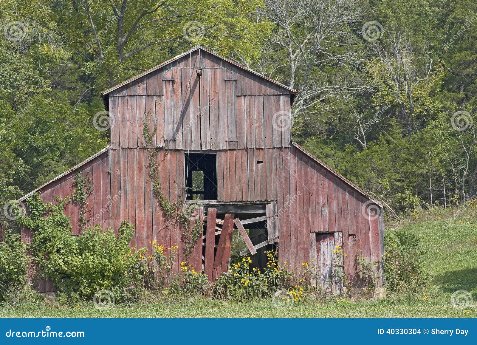 Old Red Barn stock photo. Image of grey, historic, country - 40330304