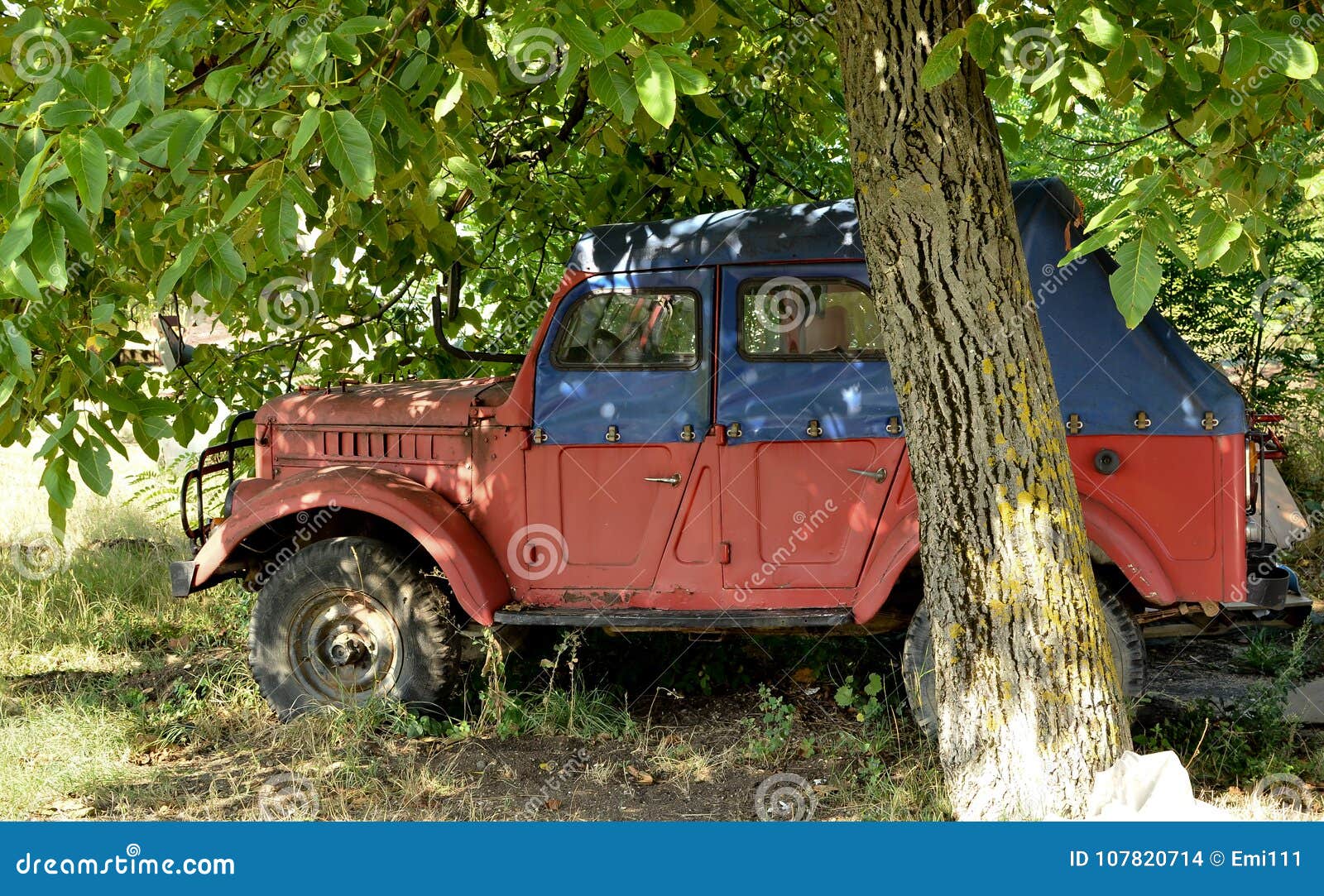 Old Red Blue Car in Shade of Tree Stock Photo - Image of motor, travel ...