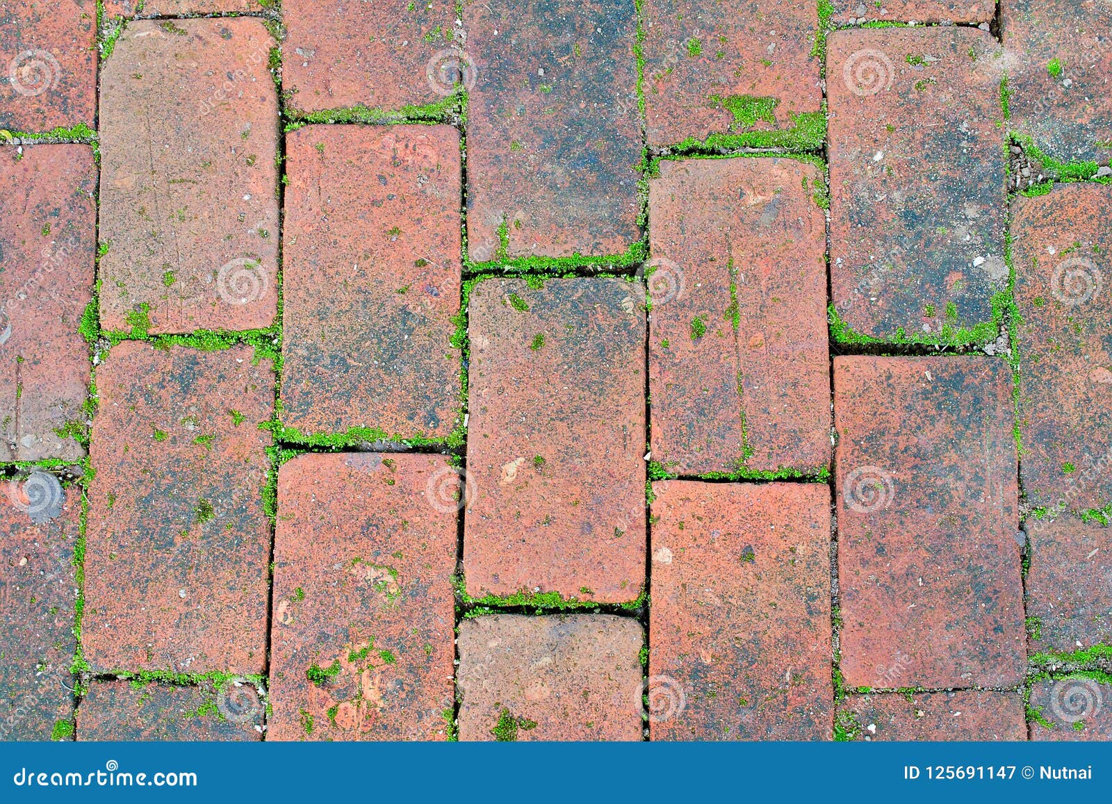 Red Brick Floor Texture