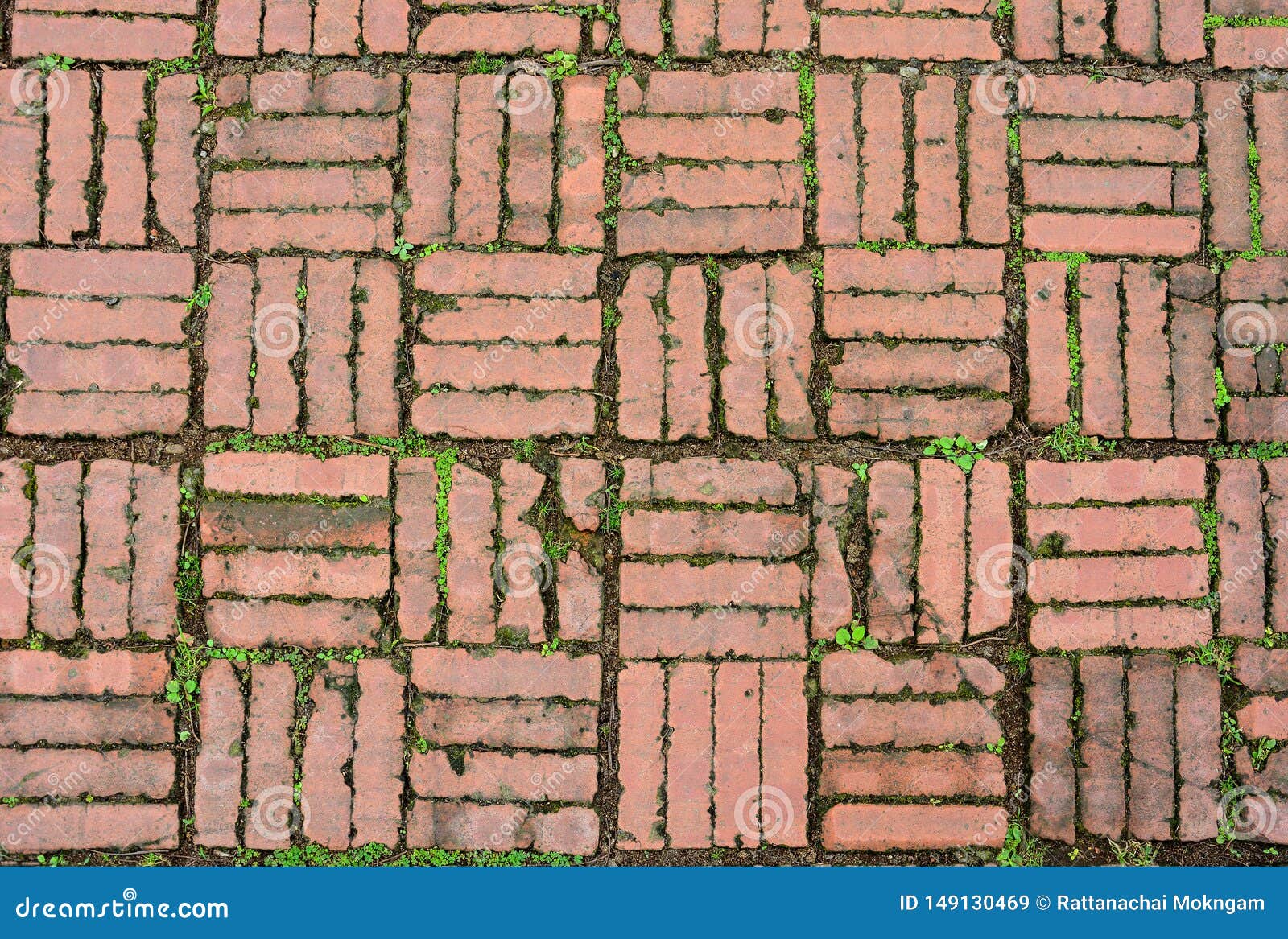 Brick Footpath Texture